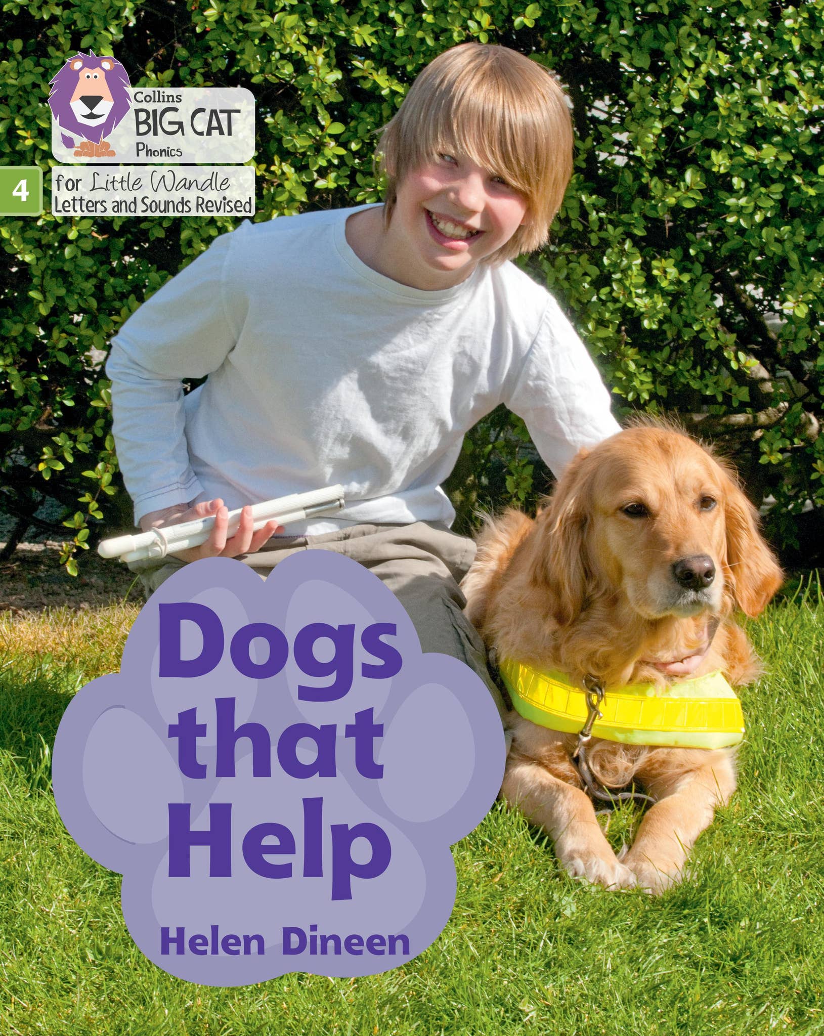 Big Cat Phonics for Little Wandle Letters and Sounds Revised - Dogs ...