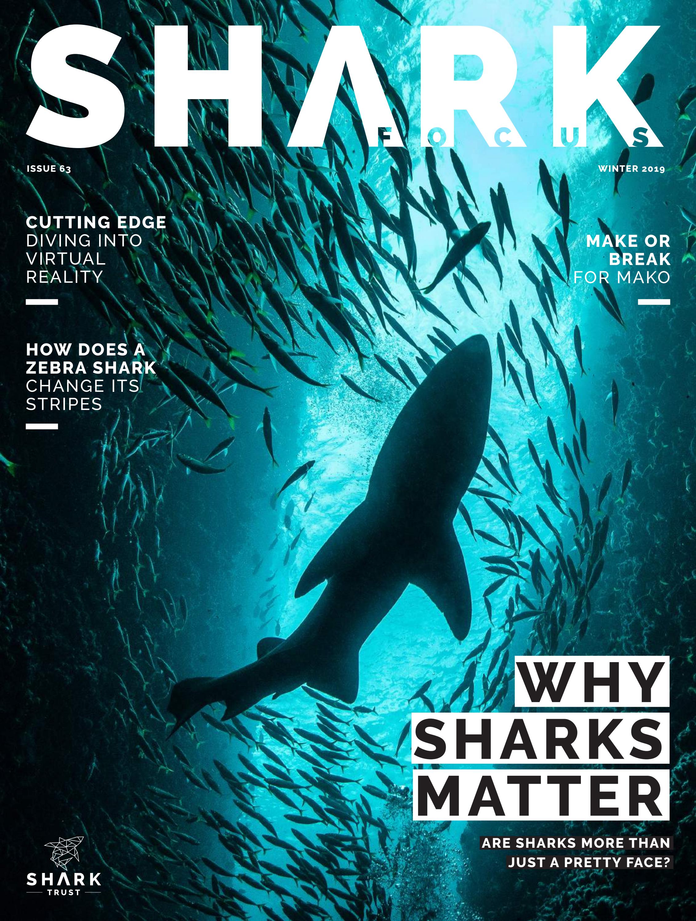 Shark Focus - Issue 63 by The Shark Trust - Issuu