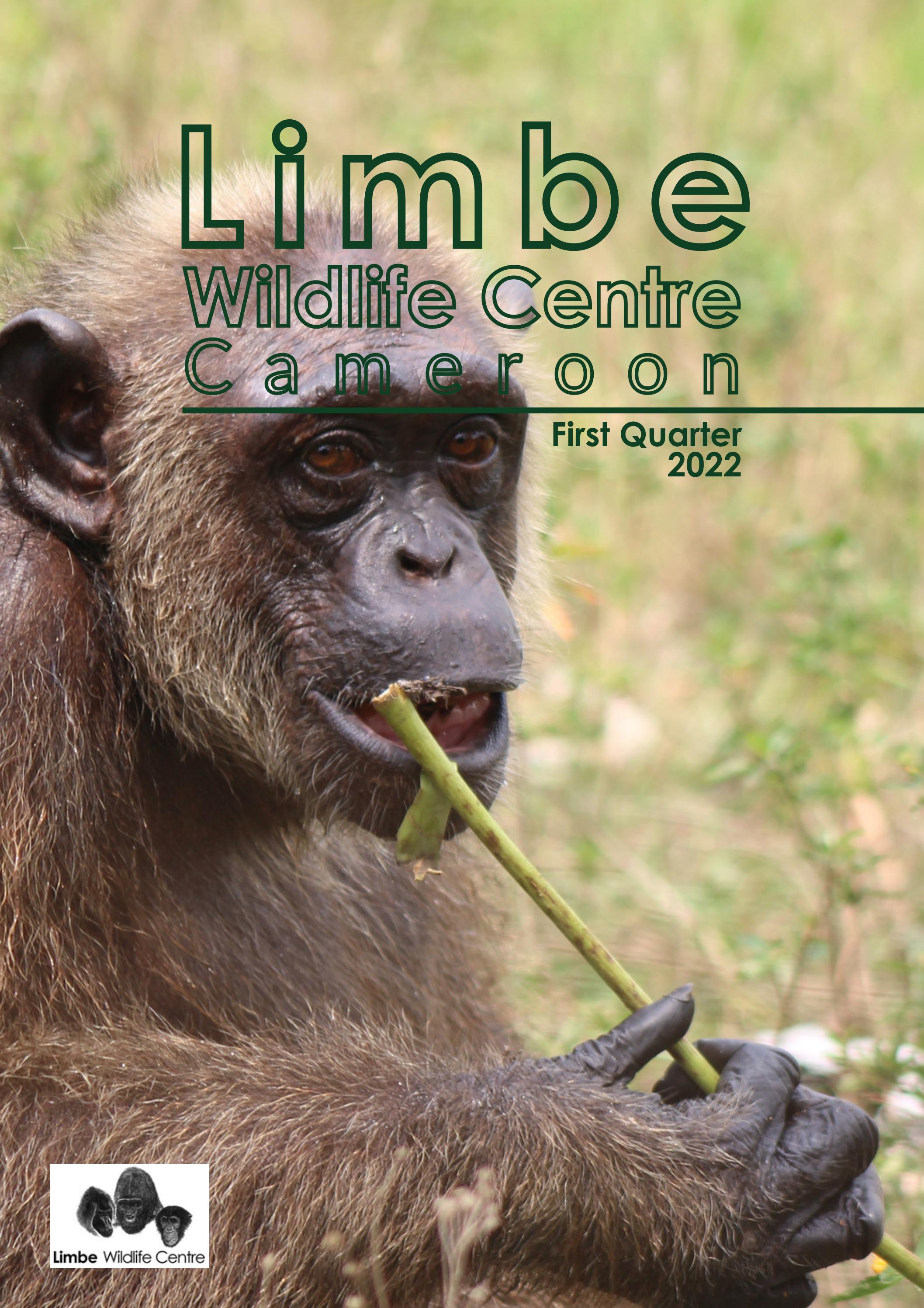 Limbe Wildlife Centre: First Quarter Report 2022 by limbewildlife - Issuu