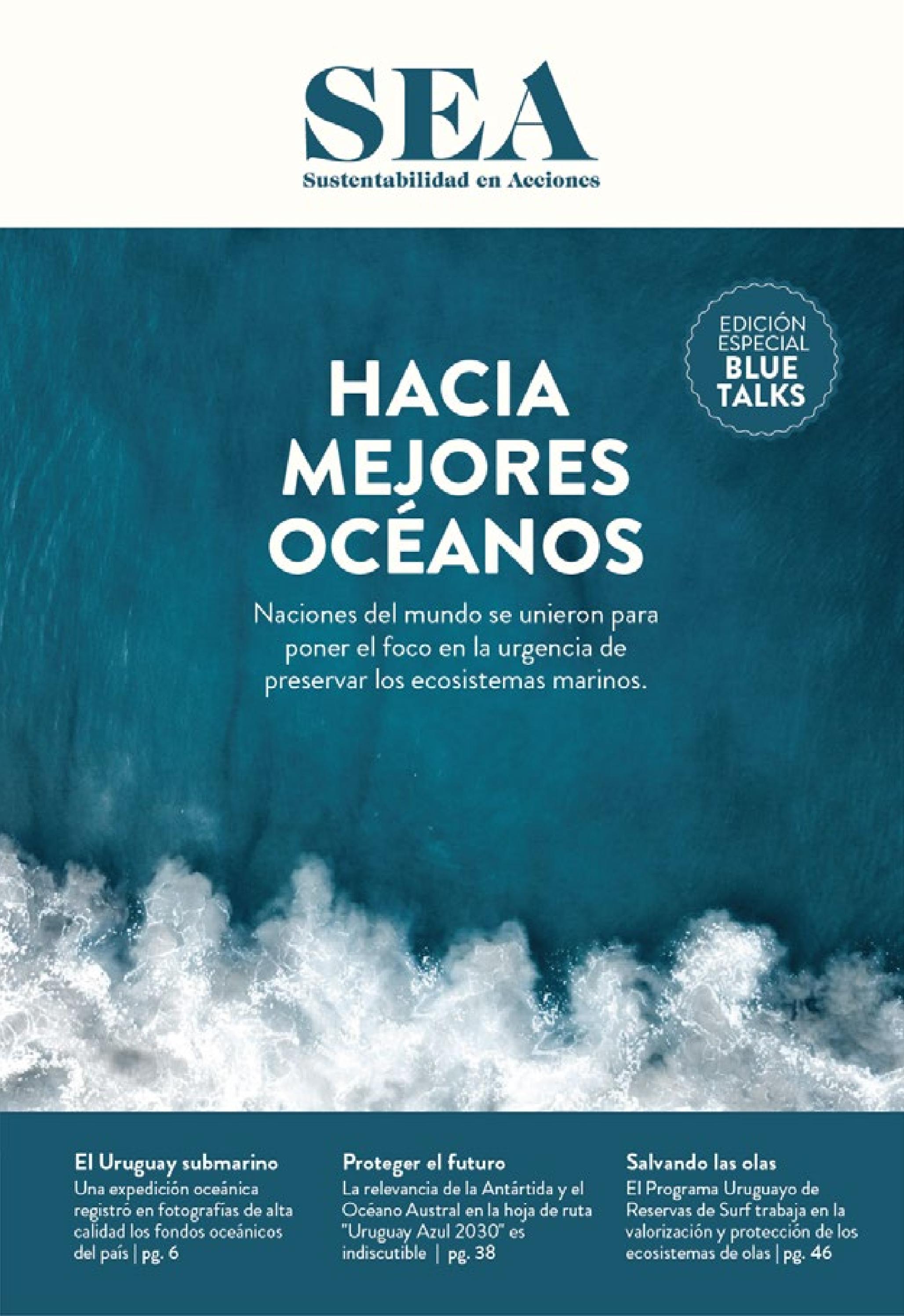 Revista SEA #19 by Revista SEA - Issuu