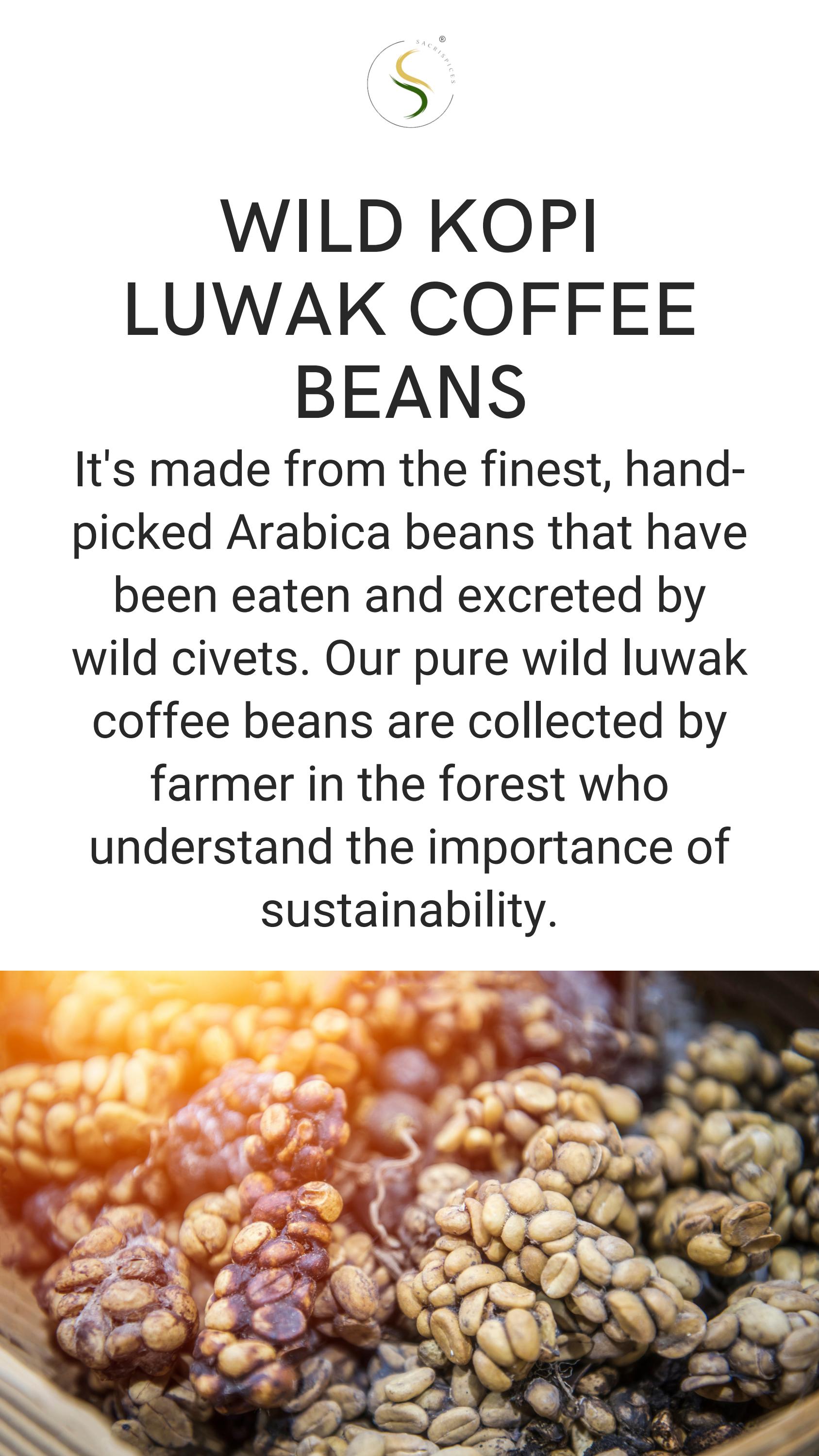 Buy Luwak Coffee Malaysia | sacrispices.com | WhatsApp +6281-22232-6474 ...