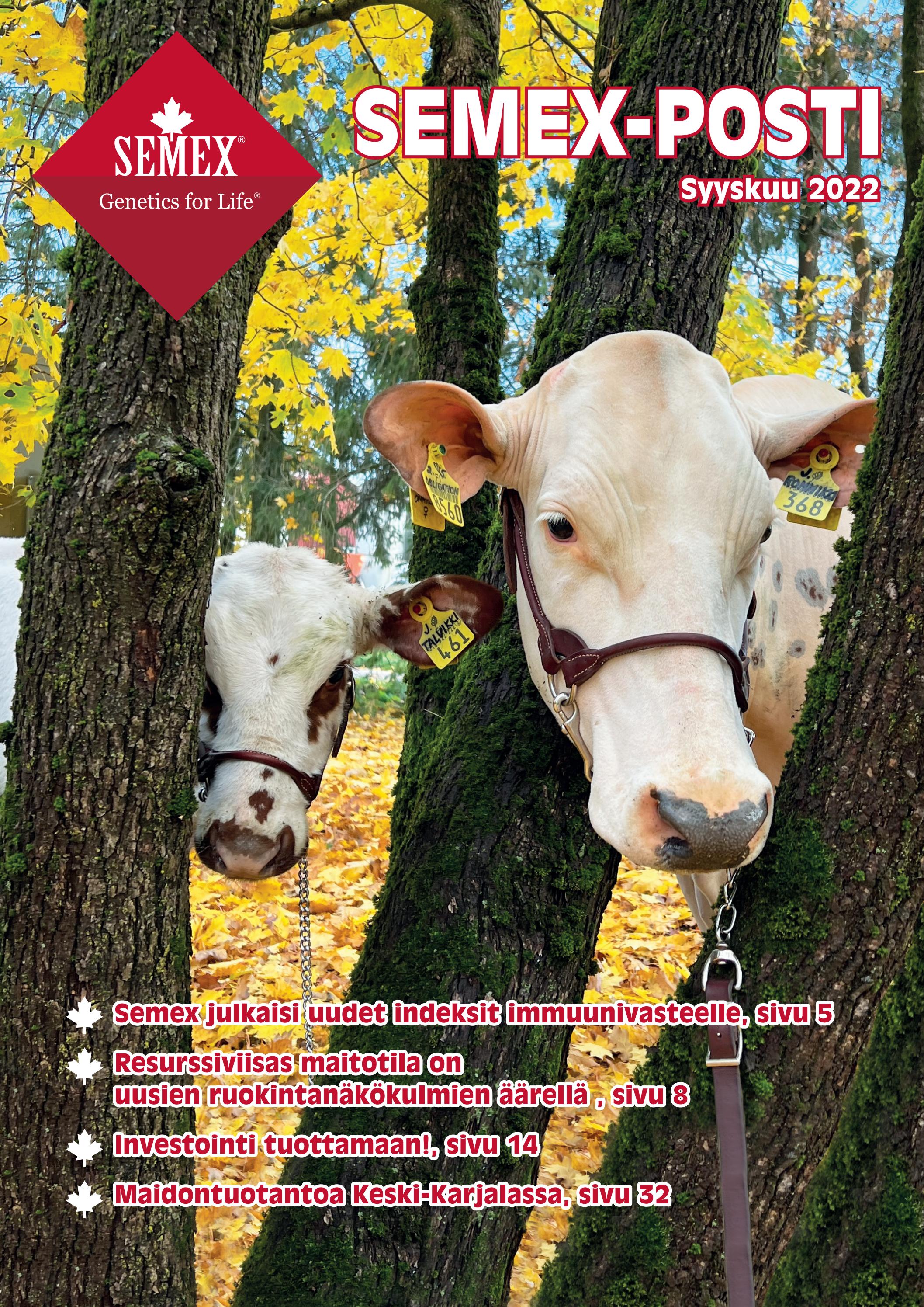 Semex Posti 3/22 by semexfinland - Issuu