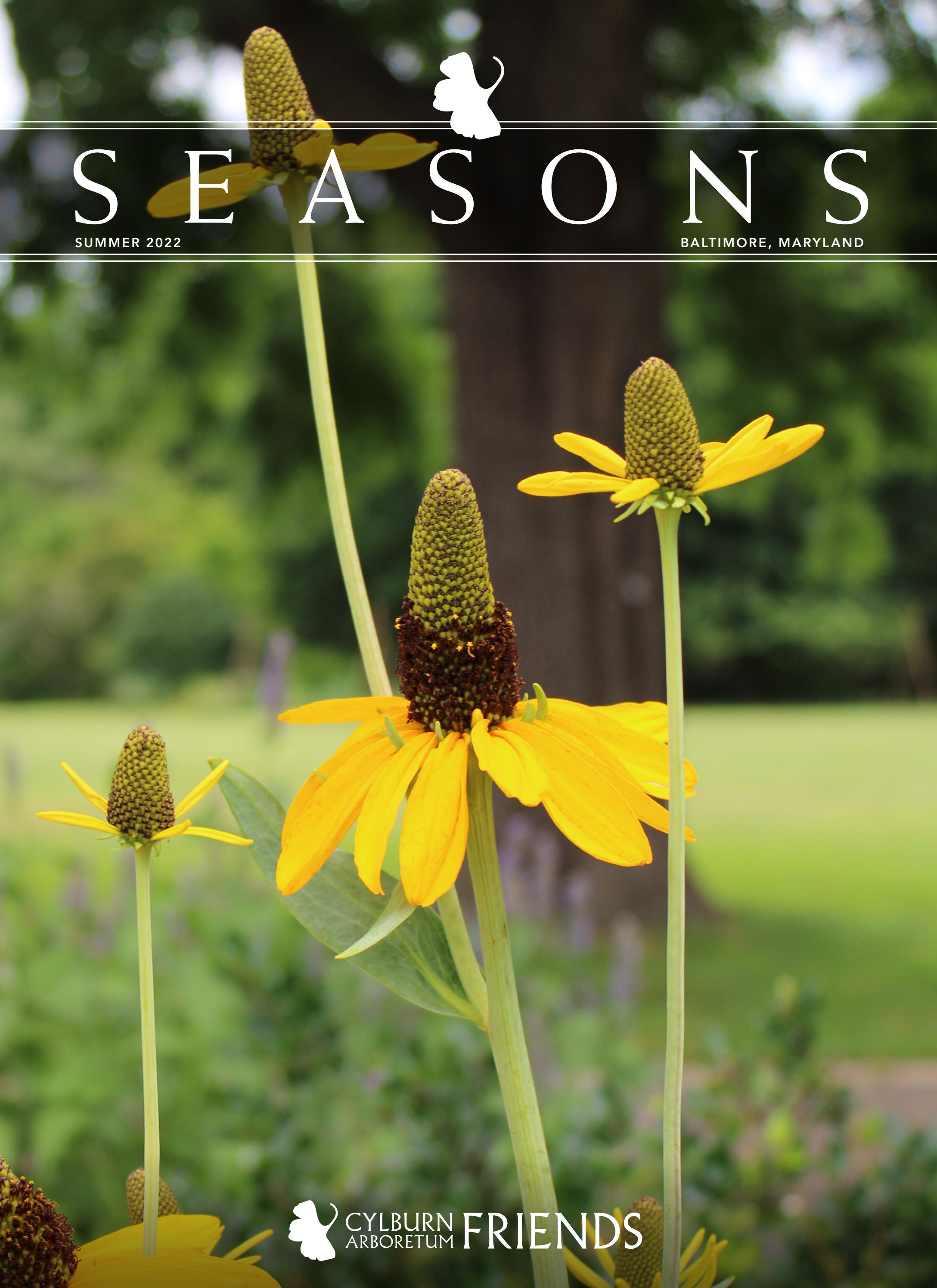CAF Seasons: Summer 2022 by cylburn - Issuu
