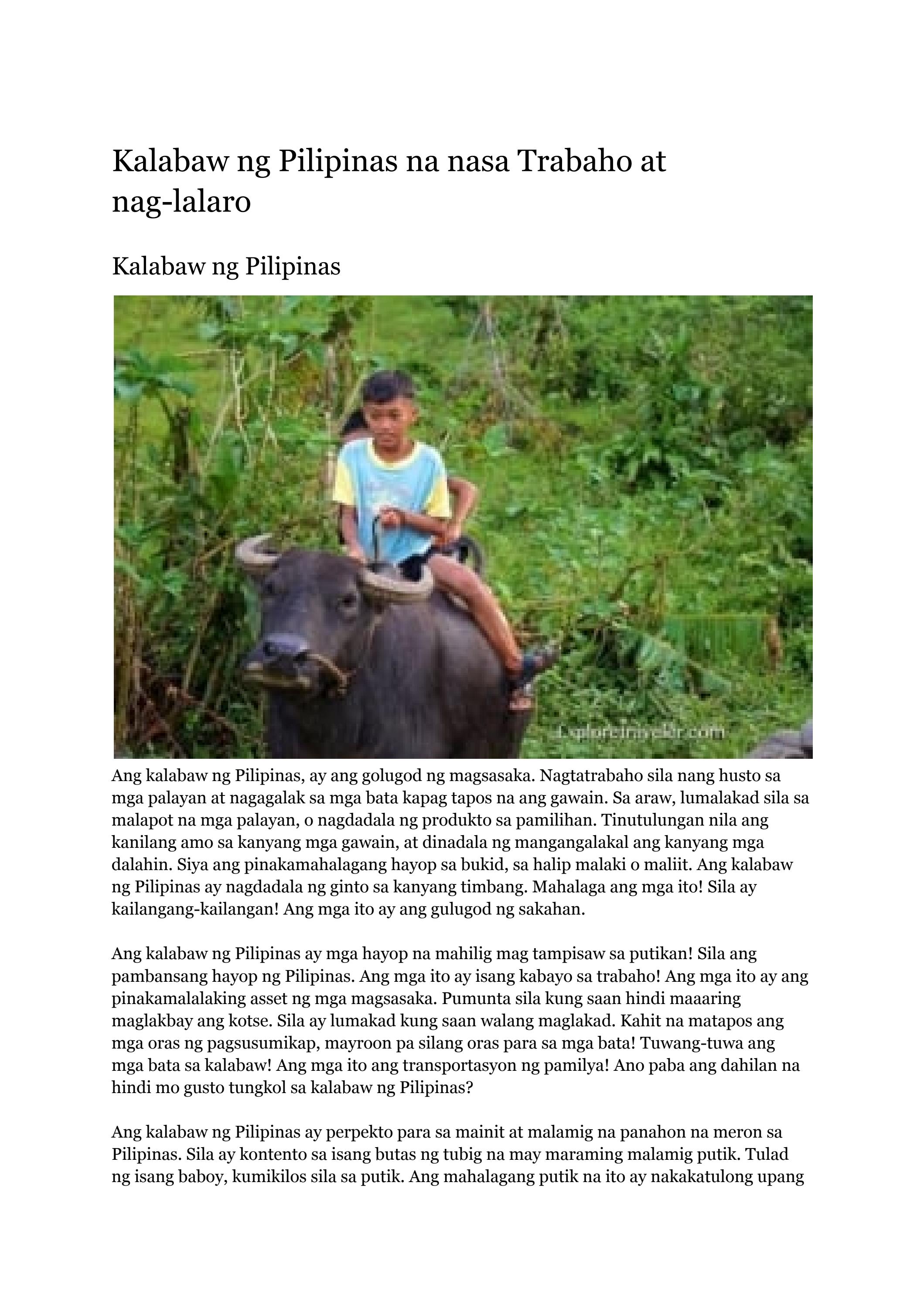 Kalabaw Ng Pilipinas Na Nasa Trabaho At Nag-lalaro - EXPLORETRAVELER by ...