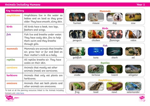 Year 1 science humans et al by Schudio - Issuu