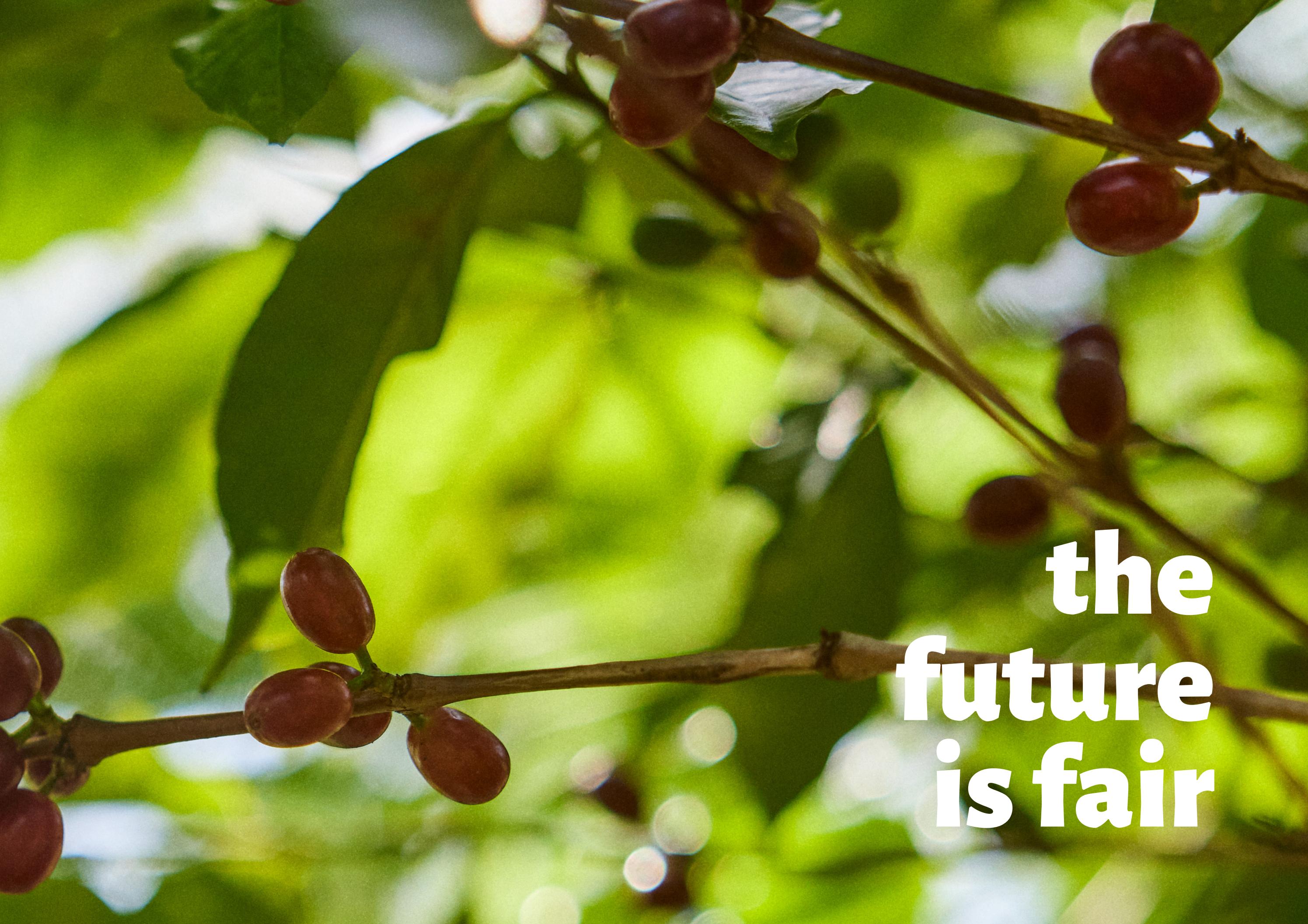 The future is fair by ANZFairtrade - Issuu