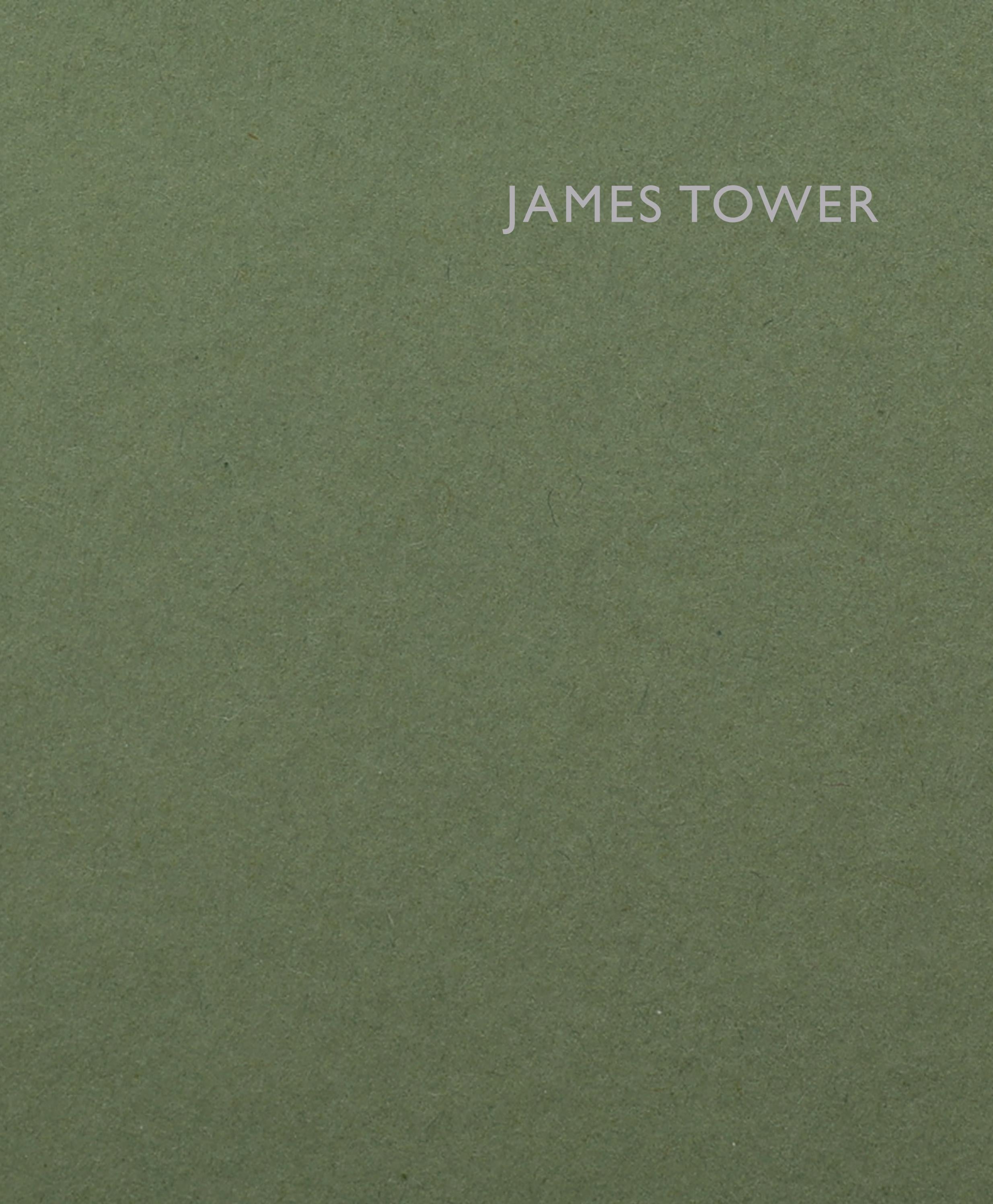 James Tower: Ceramics, Sculptures & Drawings by Erskine, Hall & Coe - Issuu