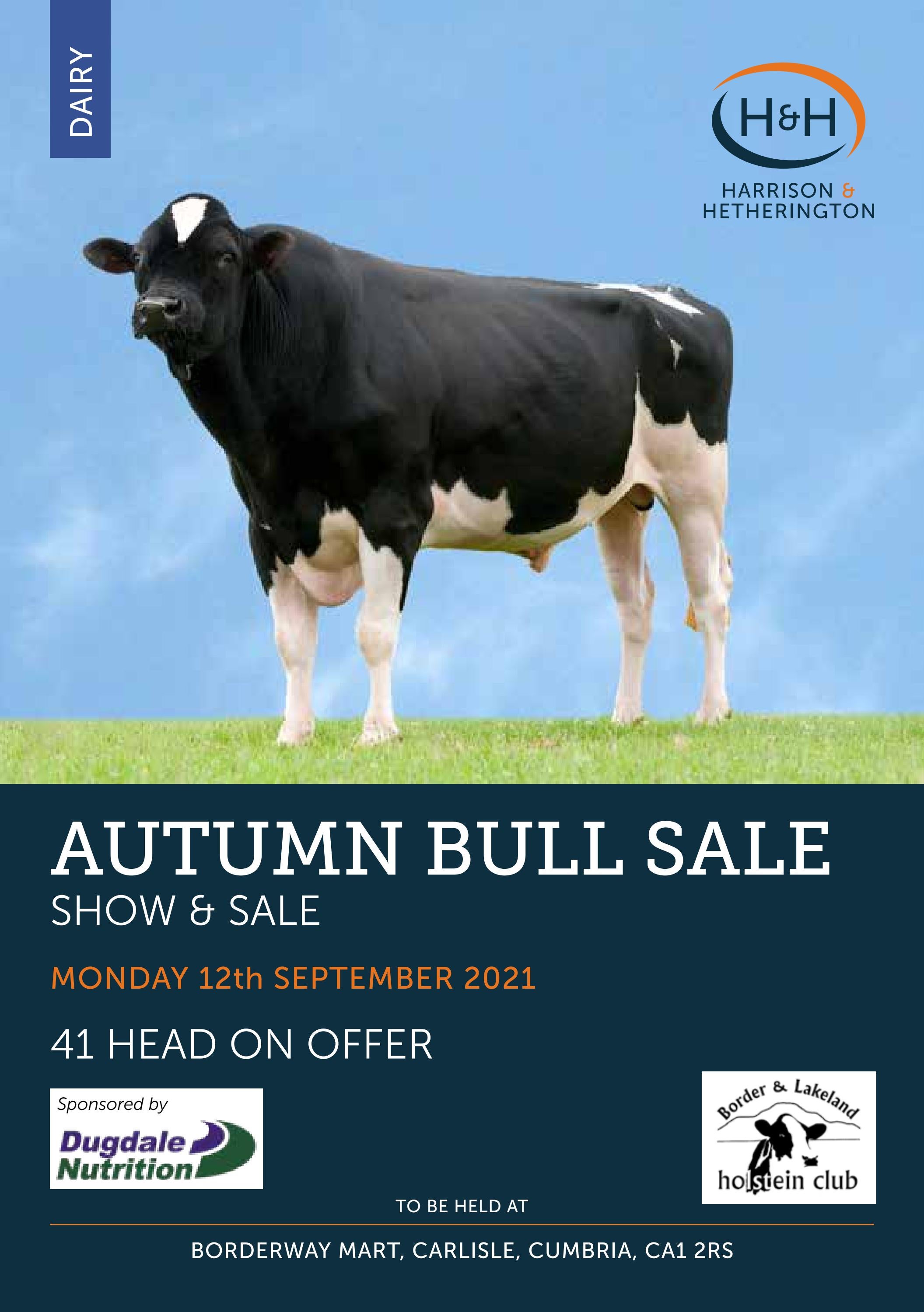 B&L club bulls 120922 by Harrison & Hetherington - Issuu