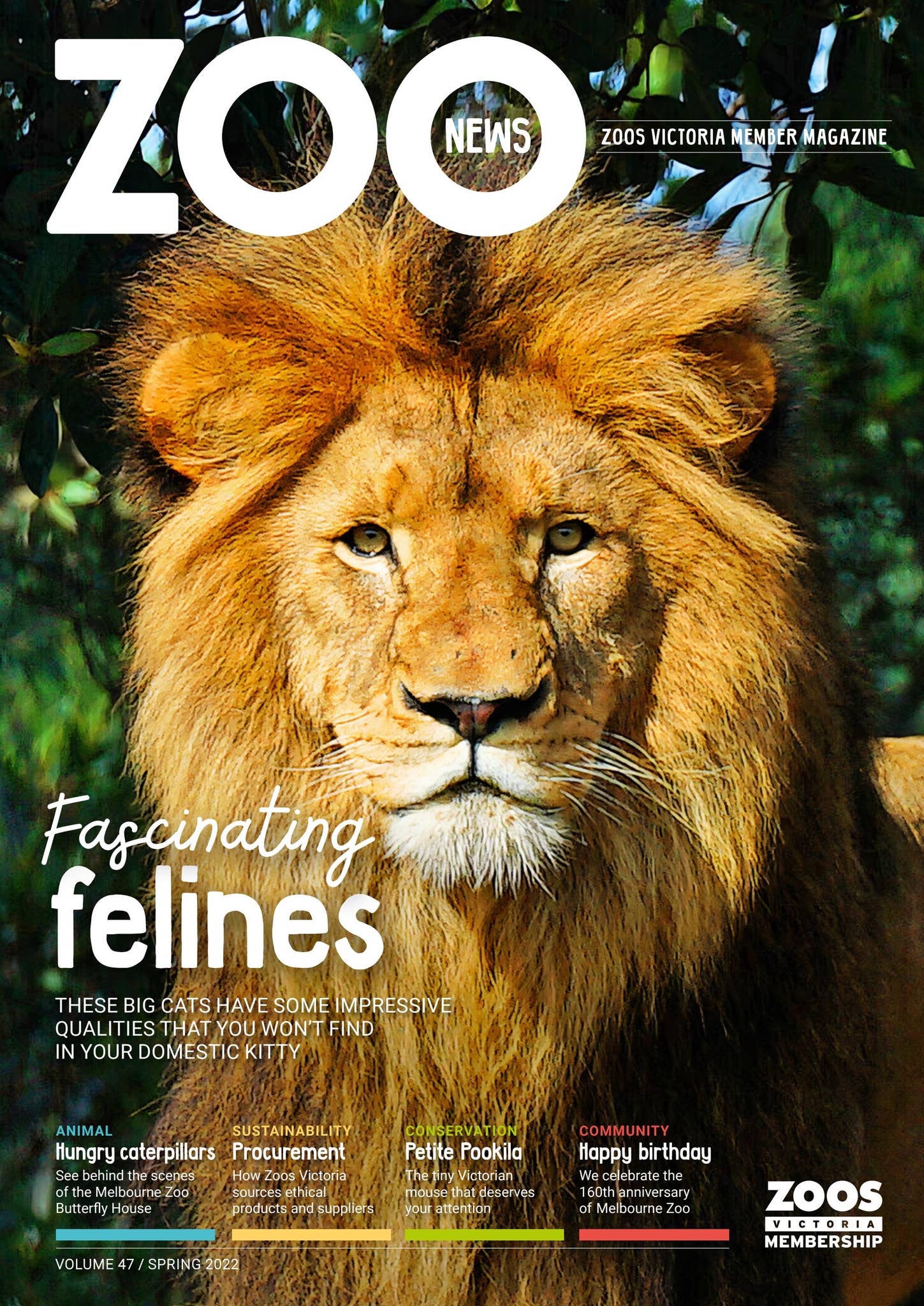 Zoo News - Spring 2022 by zoosvic - Issuu