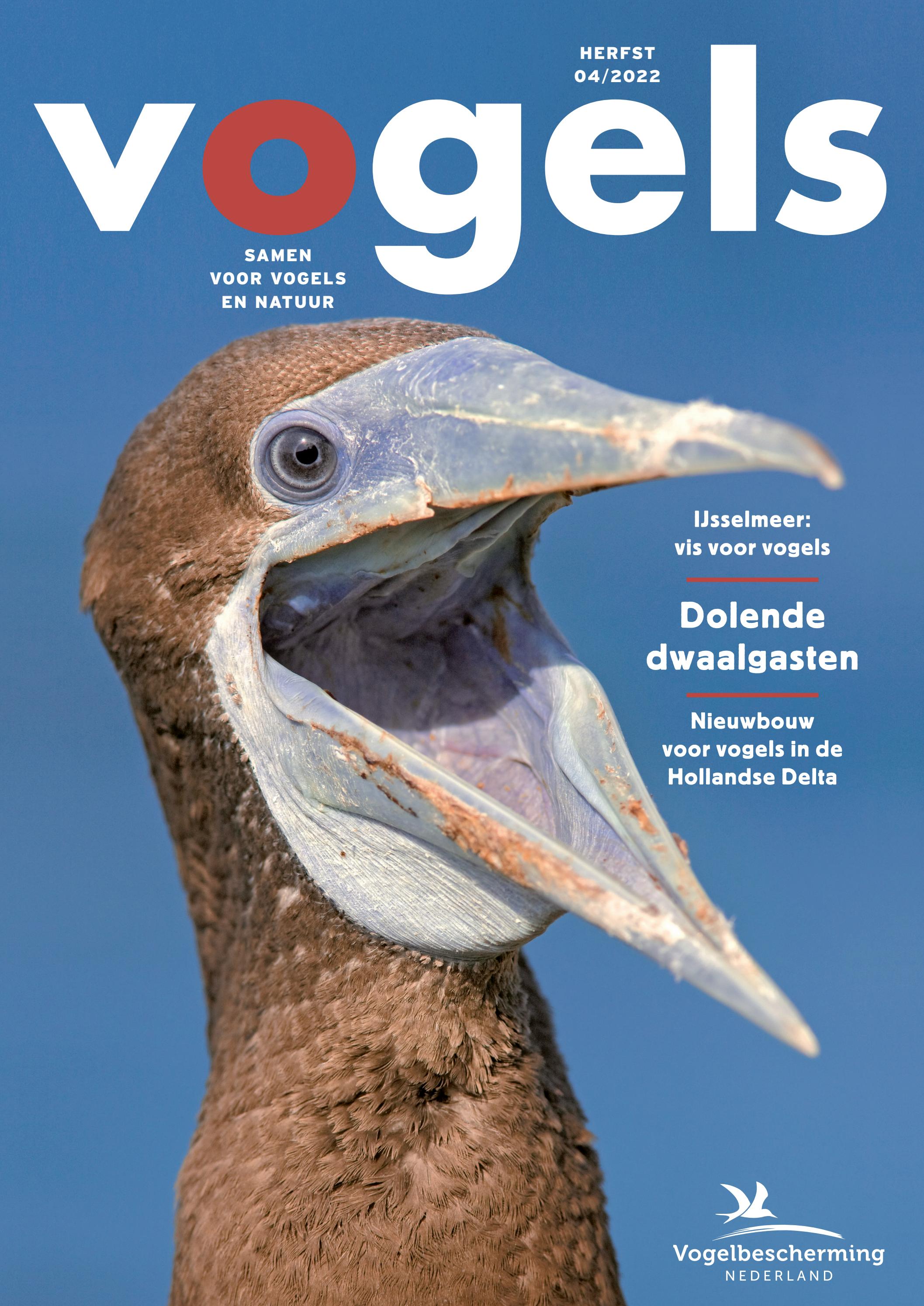 Vogels herfst 04/2022 by Vogelbescherming Nederland - Issuu