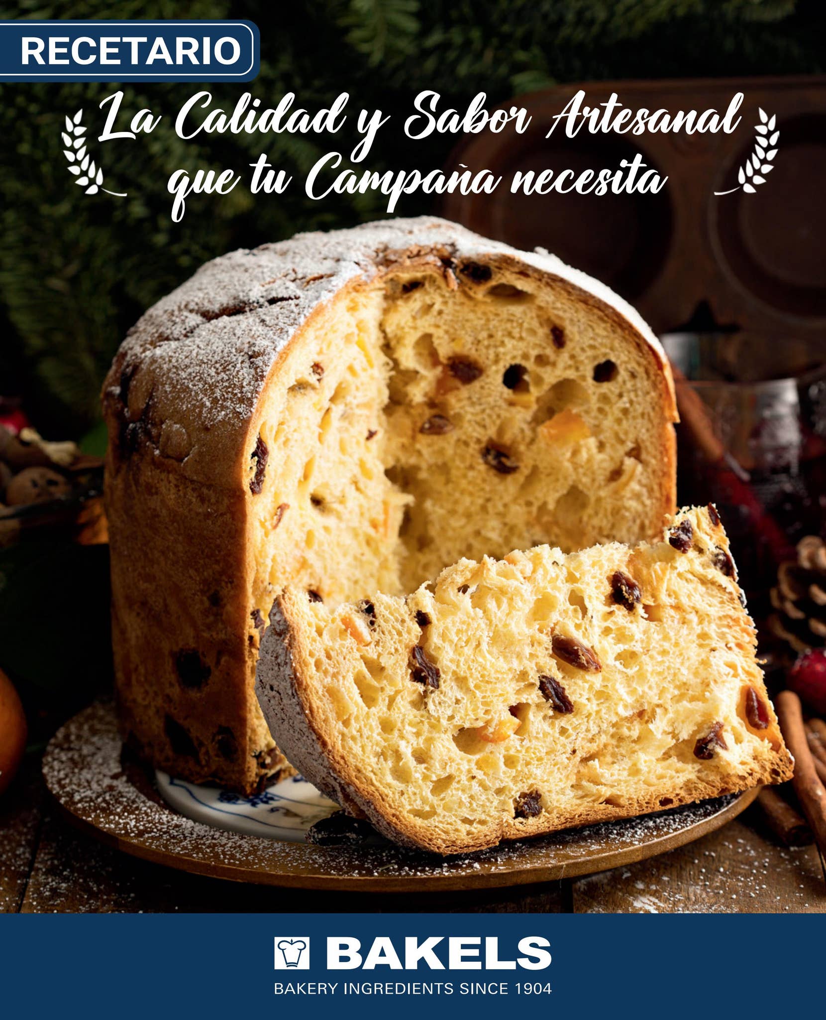 Recetario Panetón BAKELS by Bakelspe - Issuu