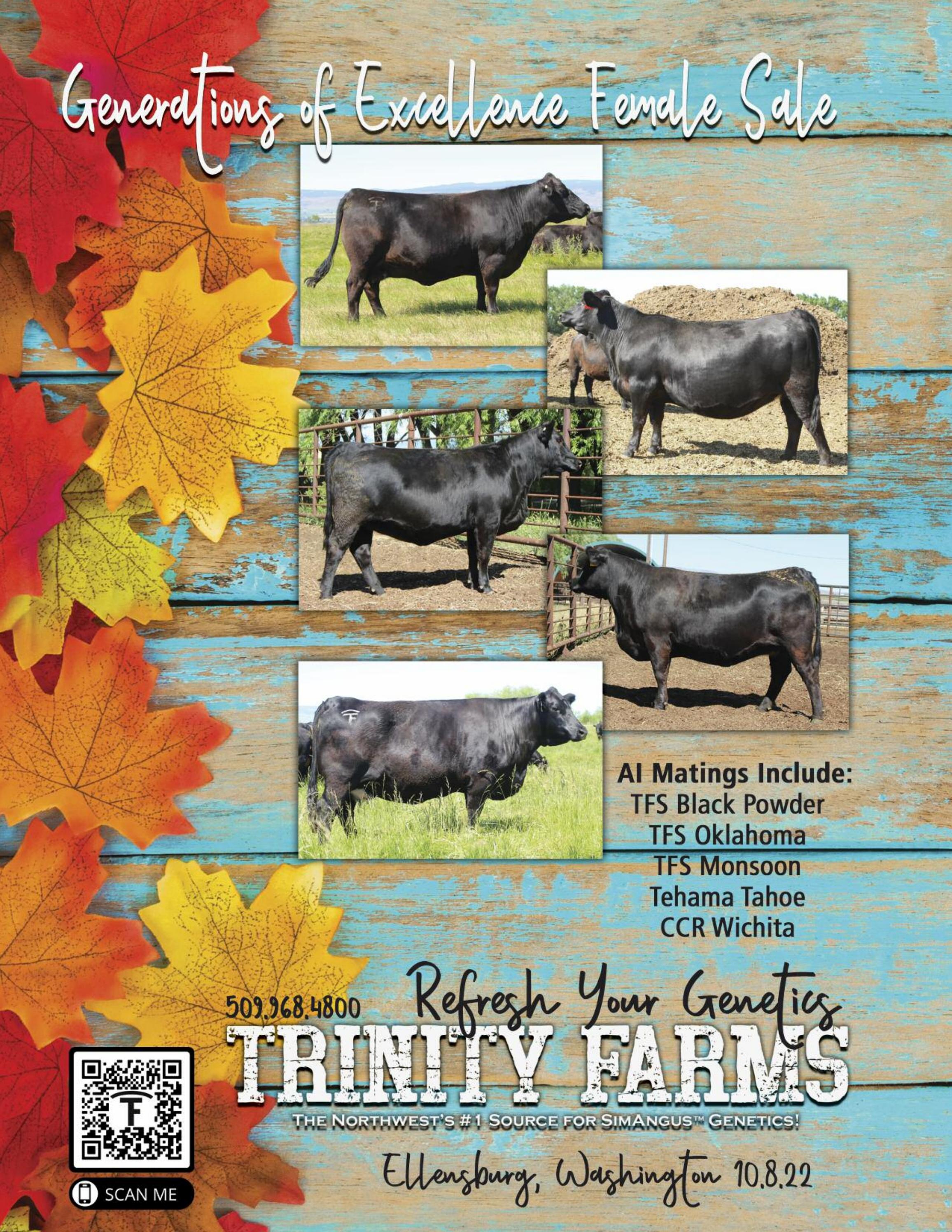 Trinity Farms Generations of Excellence Female Sale by American ...