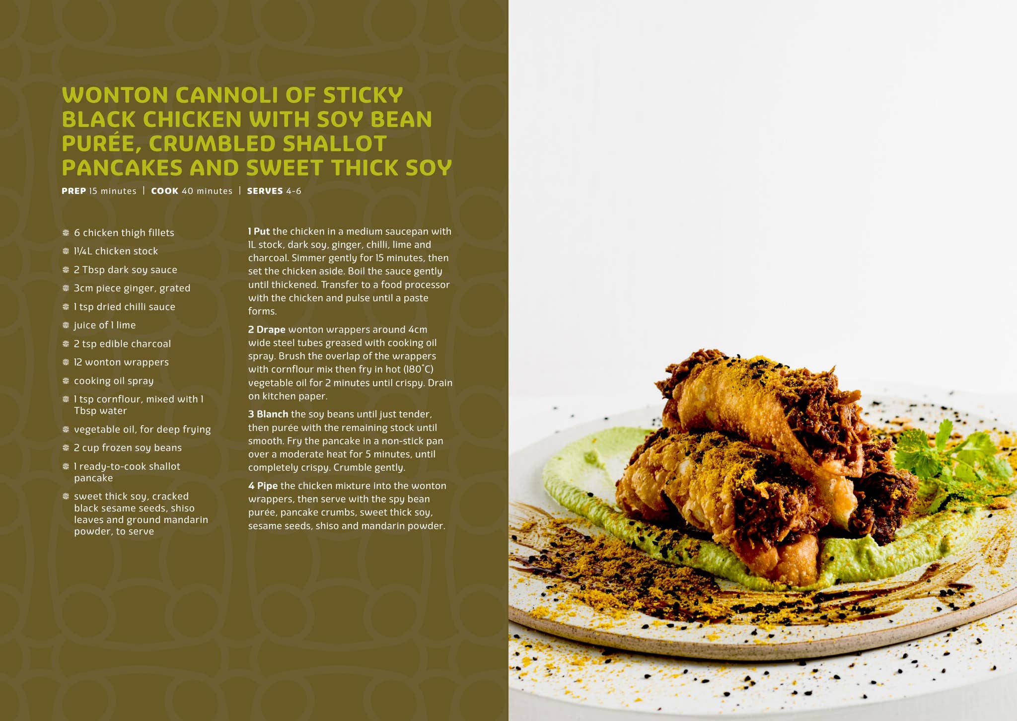 Culinary Carnival Recipe Book - Straight from the Sauce by Ed Halmagyi ...