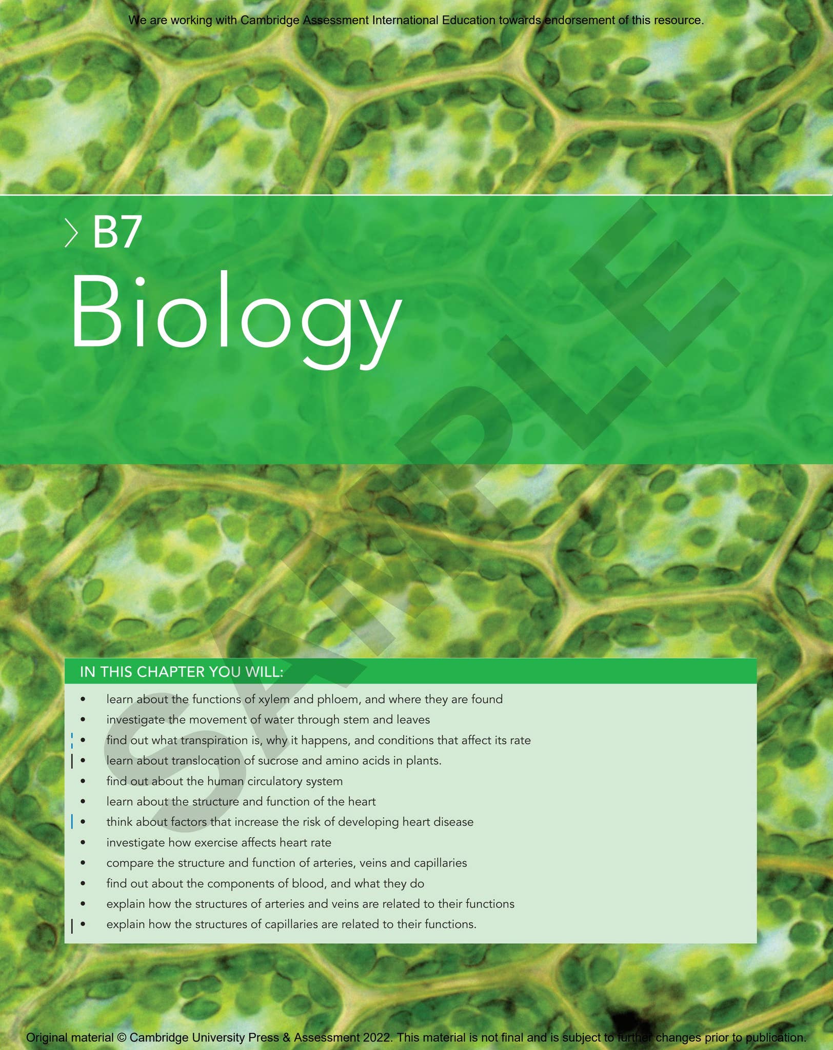 Combined and Co-ordinated Sciences for Cambridge IGSCE by Cambridge ...