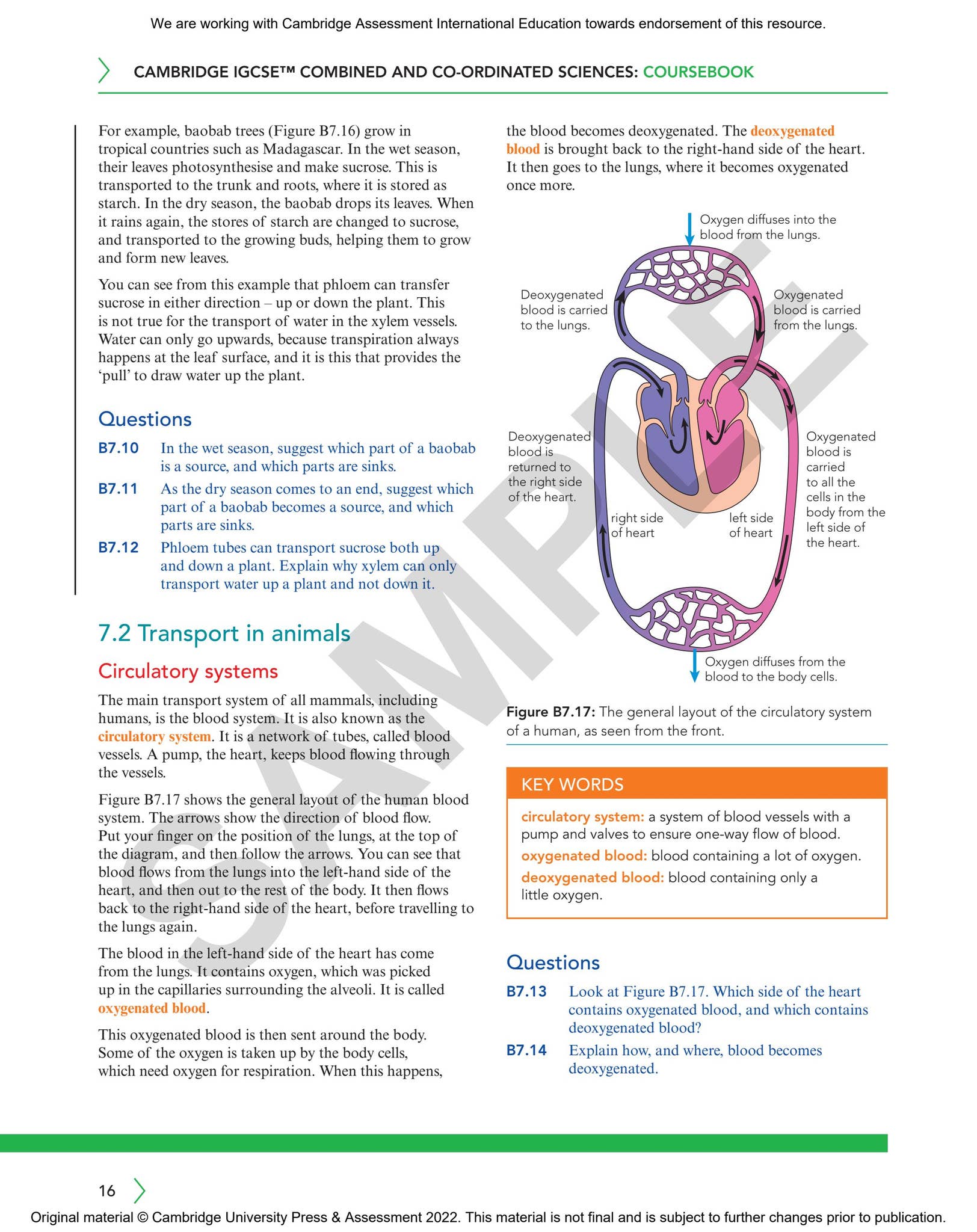 Combined and Co-ordinated Sciences for Cambridge IGSCE by Cambridge ...