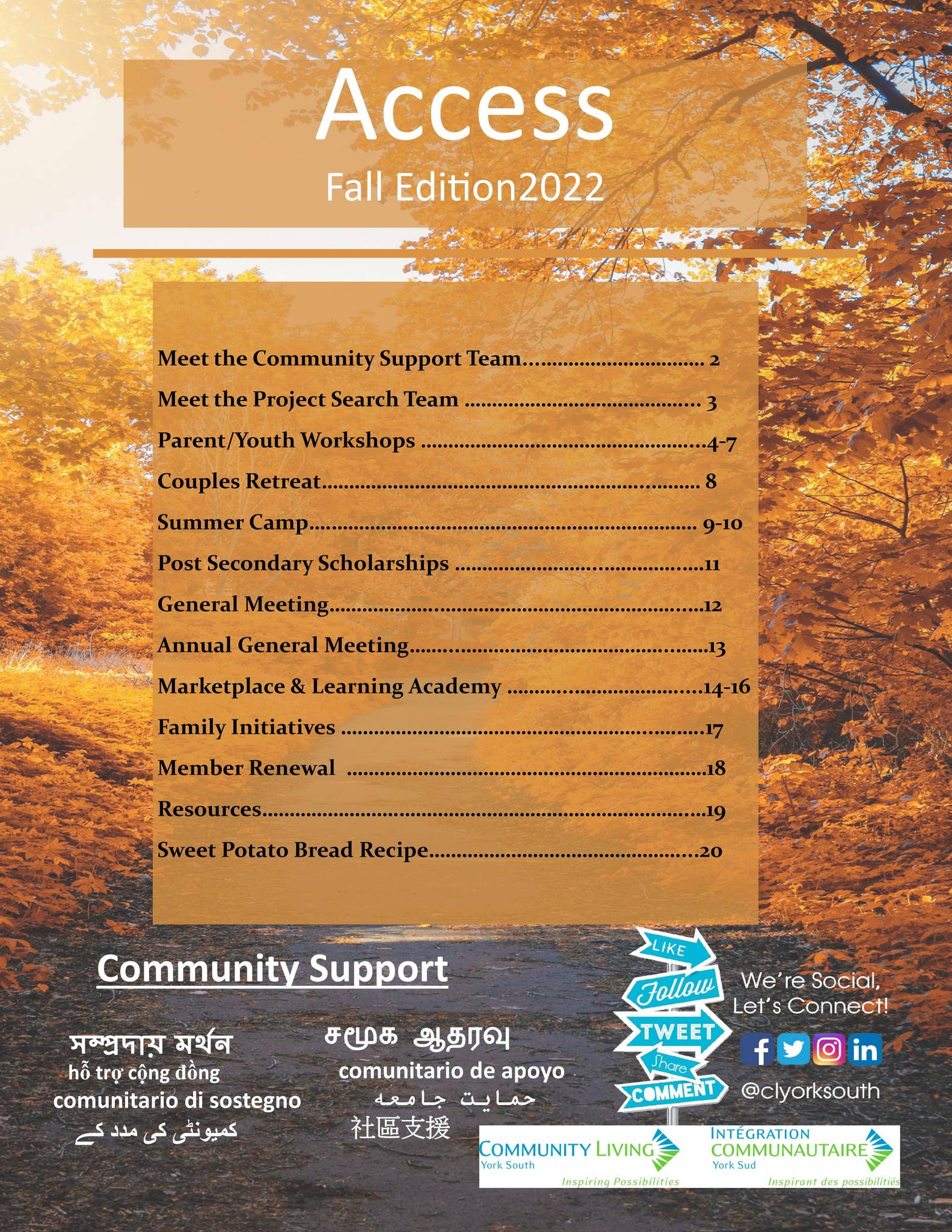 Access Newsletter Fall Edition 2022 by CLYorkSouth - Issuu
