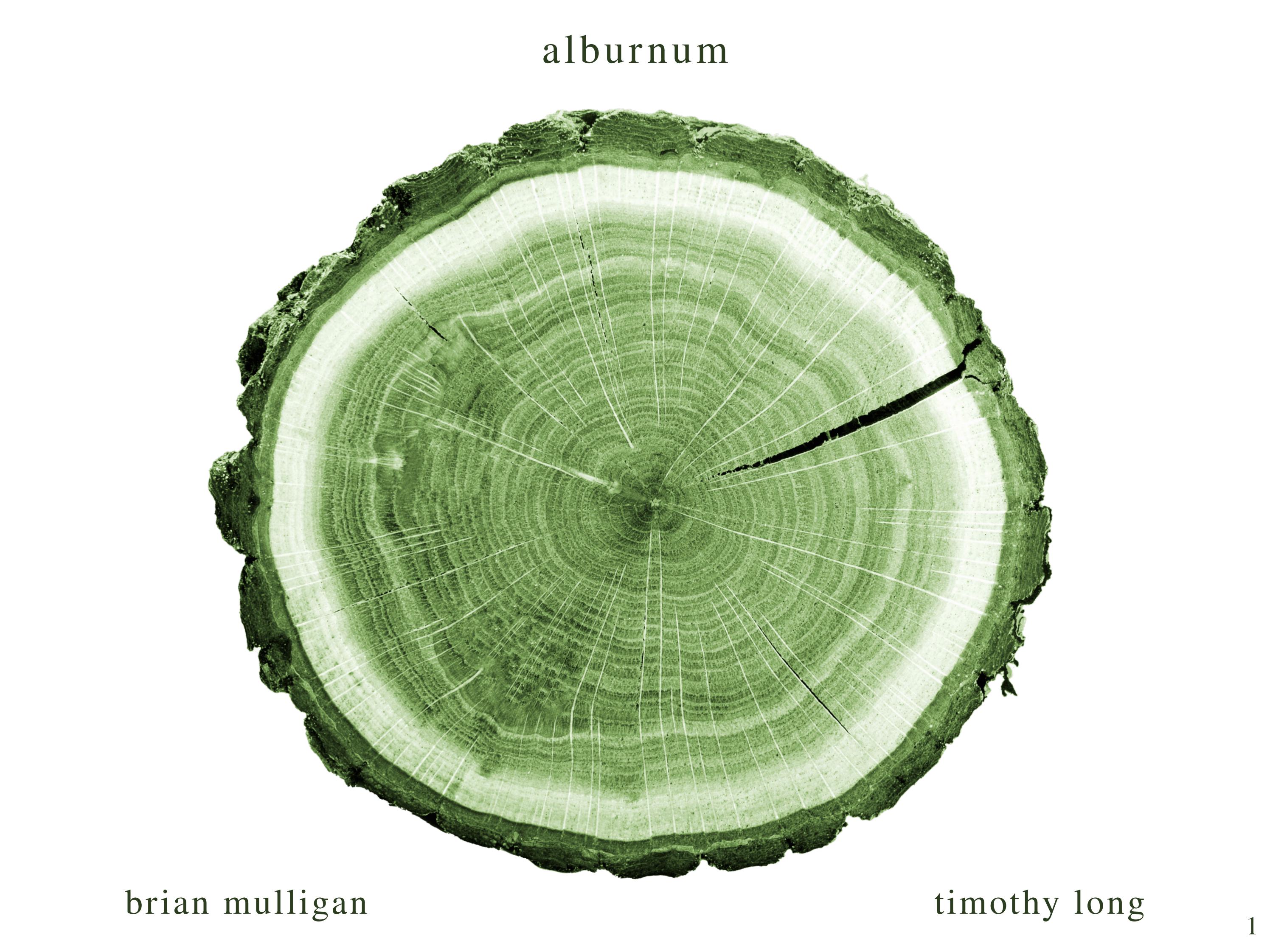 Brian Mulligan/Tim Long - ALBURNUM by Louis Levitt - Issuu
