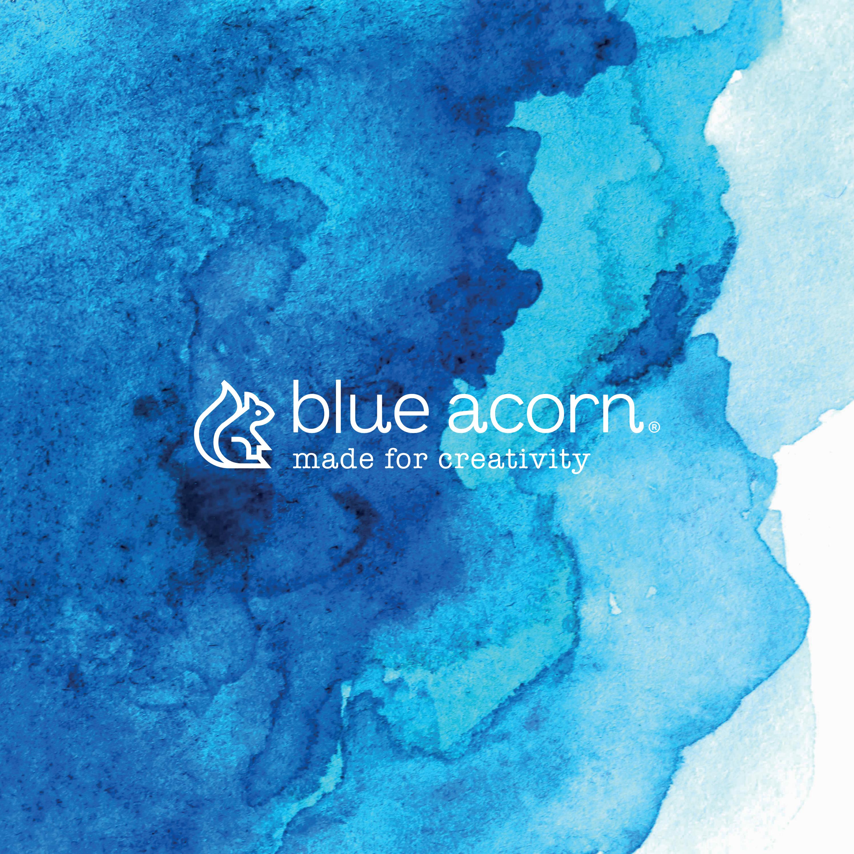 Blue Acorn Product Brochure by Abacus Creative Resources - Issuu