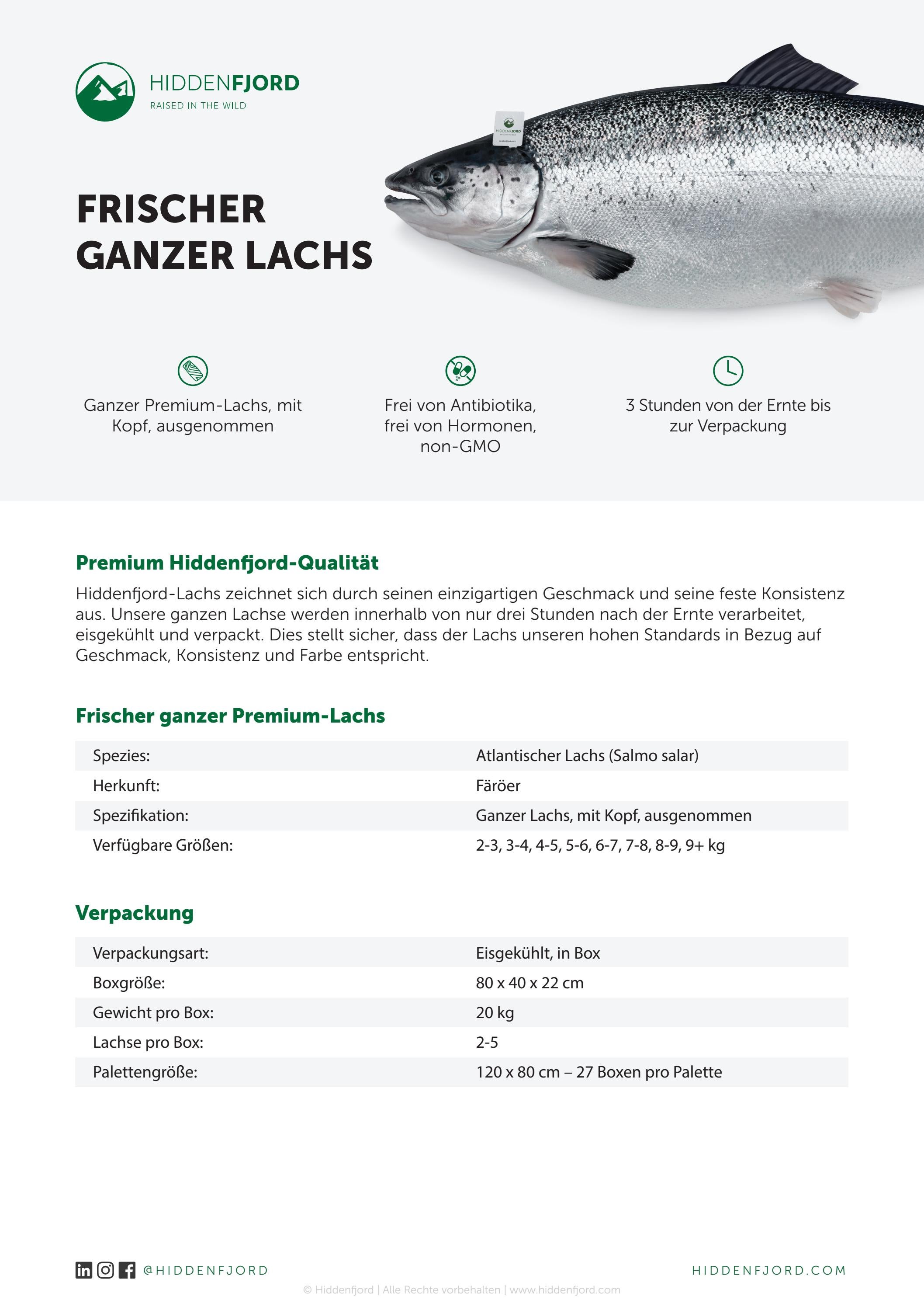 Hiddenfjord: Fresh whole salmon (German) by Hiddenfjord - Issuu