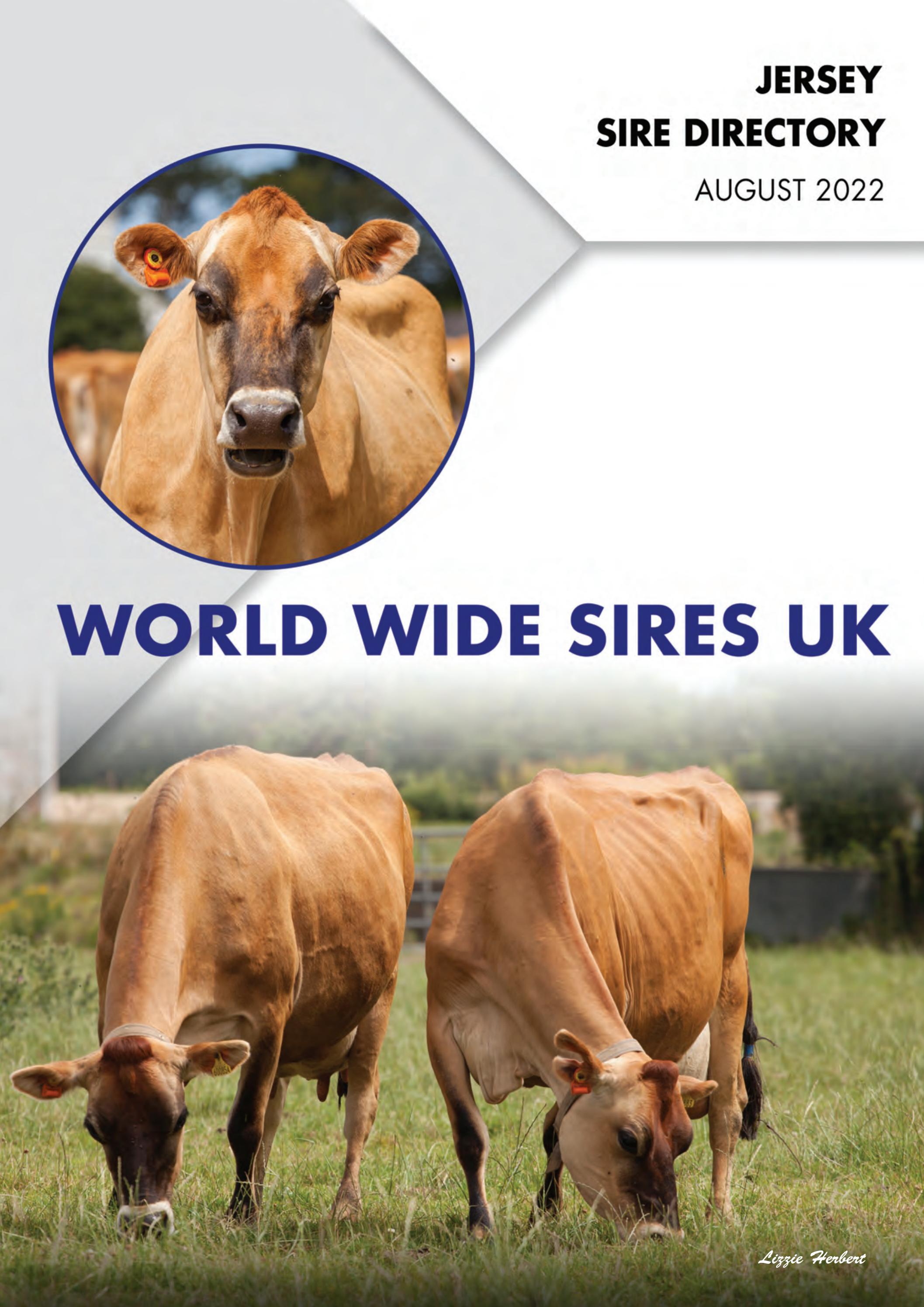 WWS-UK August 2022 Jersey Sire Directory by Melanie Hoggard - Issuu