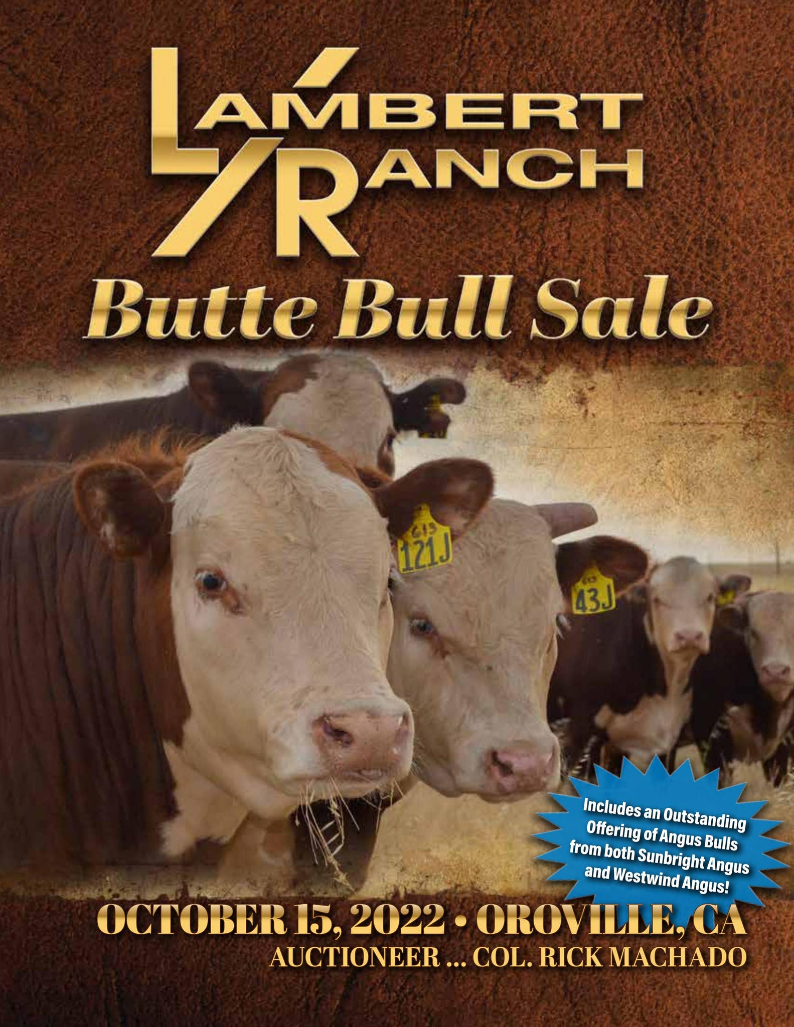 Lambert Ranch Butte Bull Sale 2022 by American Hereford Association - Issuu