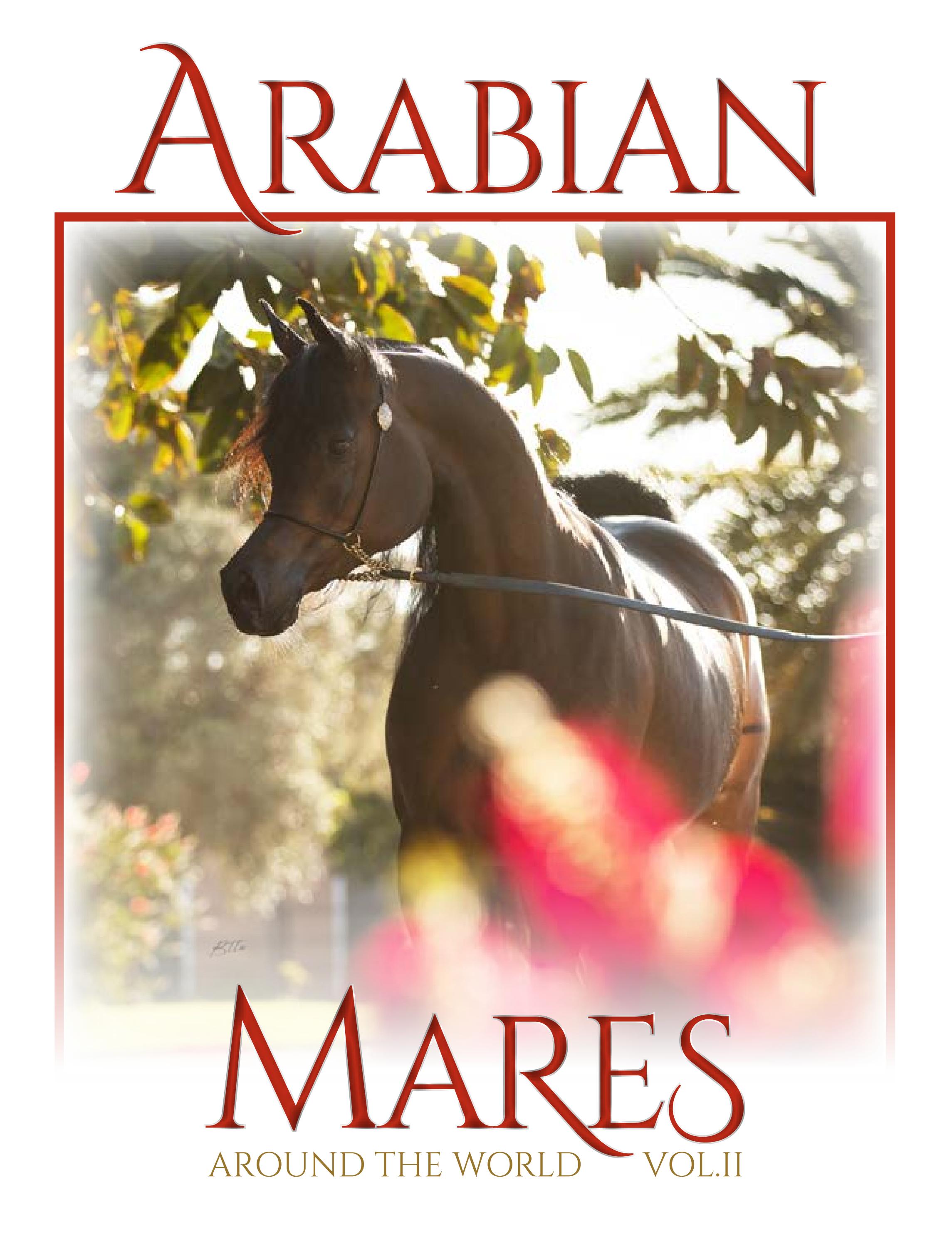 Arabian Mares around the world Vol.II by Alim editrice - Issuu