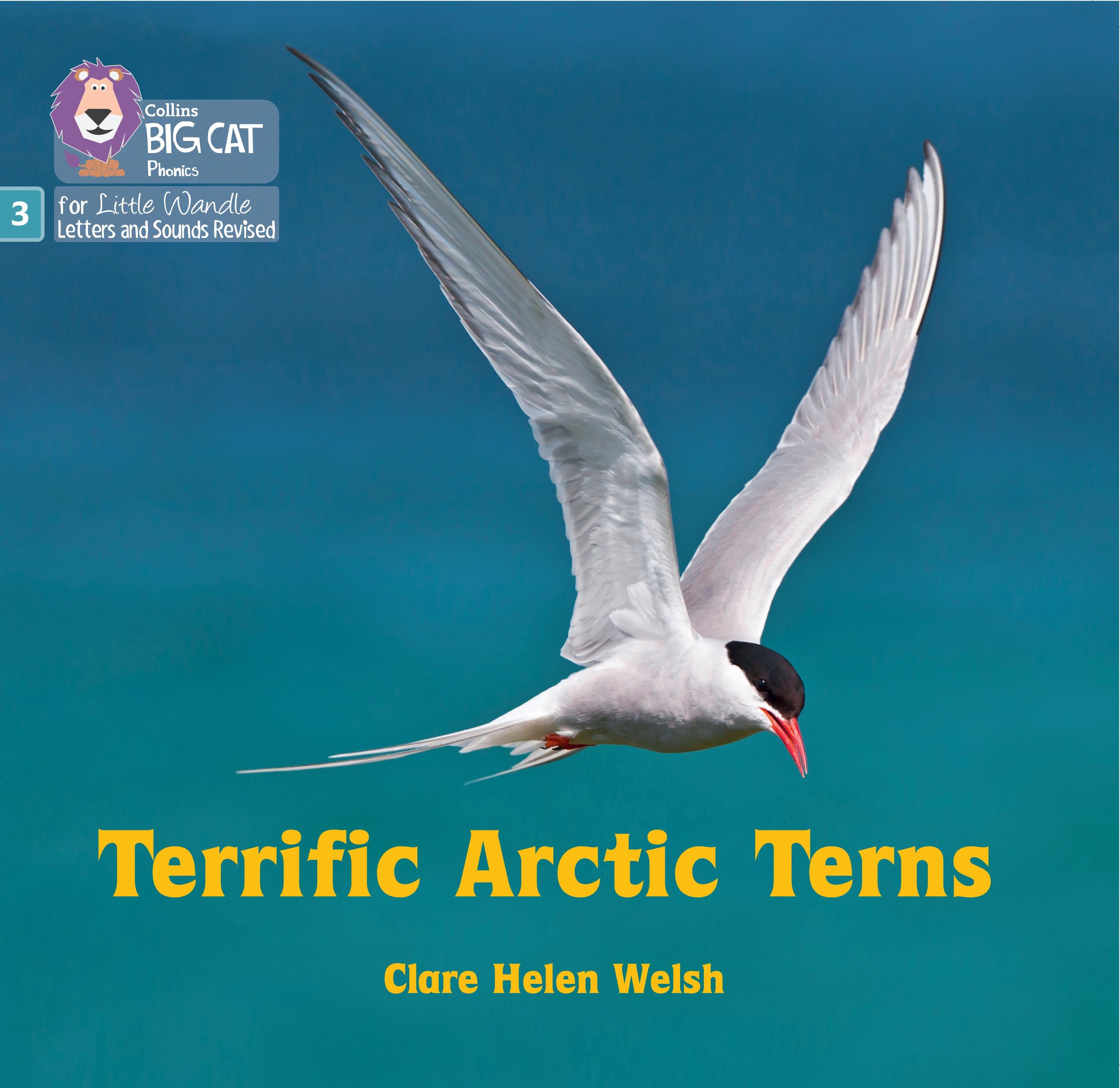 Big Cat Phonics for Little Wandle Letters and Sounds Revised - Terrific ...