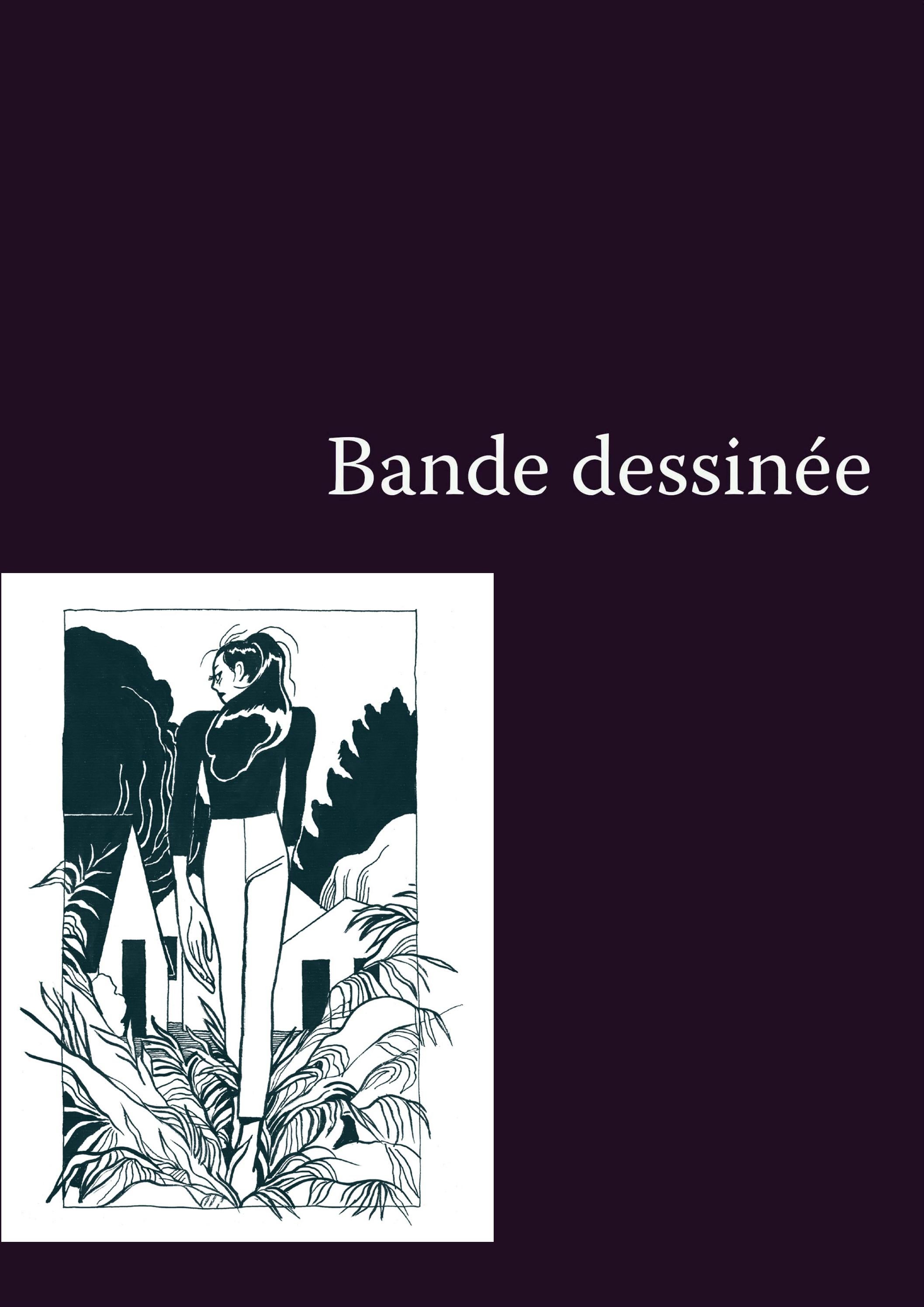 Bande-dessinée - arts graphiques - décembre - mars - 2023 - Serendip ...