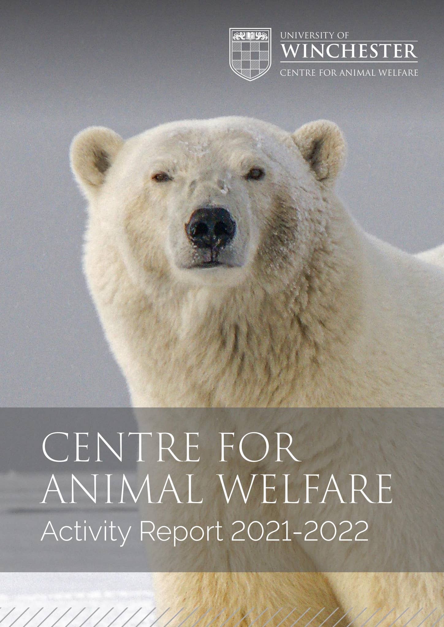 Centre for Animal Welfare Activity Report 2021-22 by University of ...