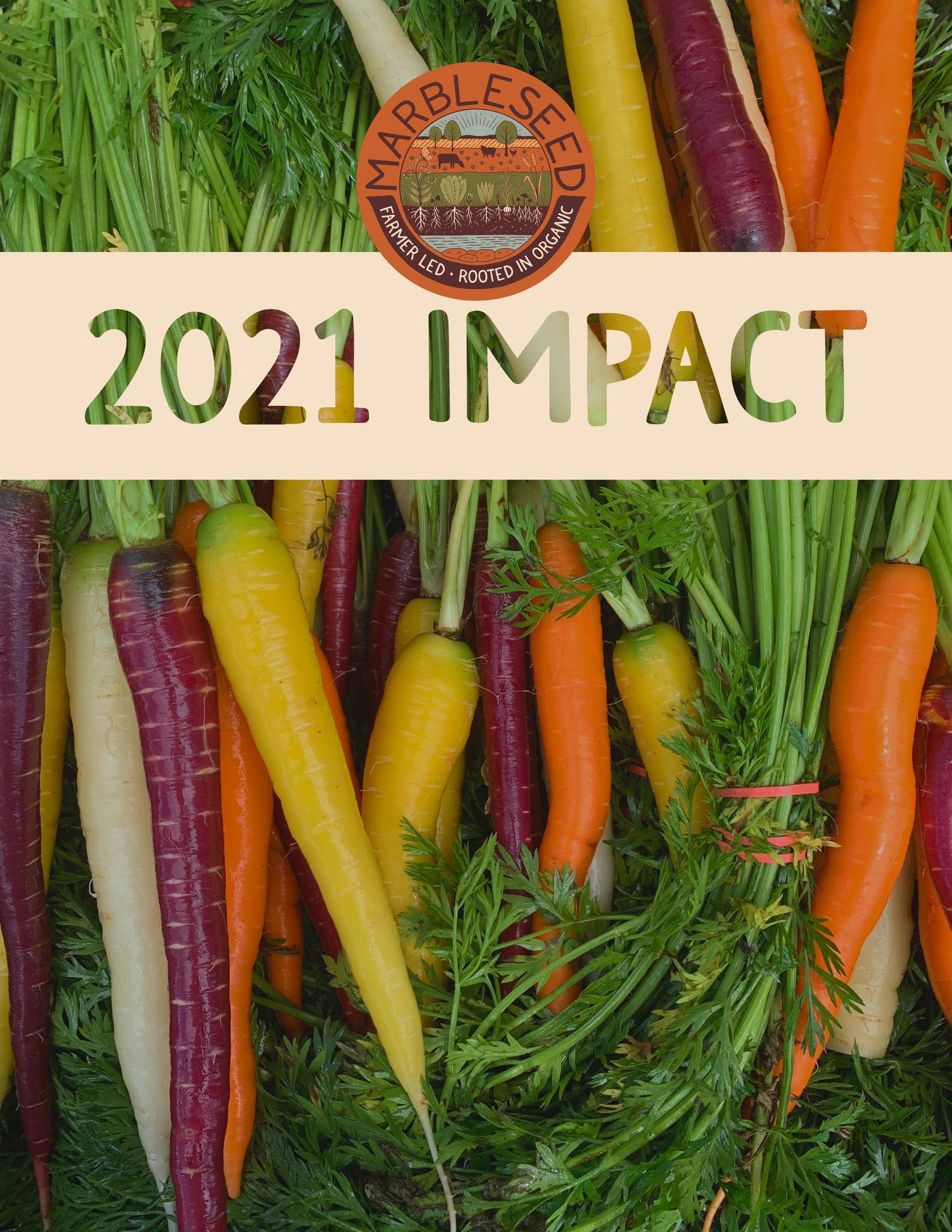 Marbleseed Annual Report | 2021 by marbleseed - Issuu