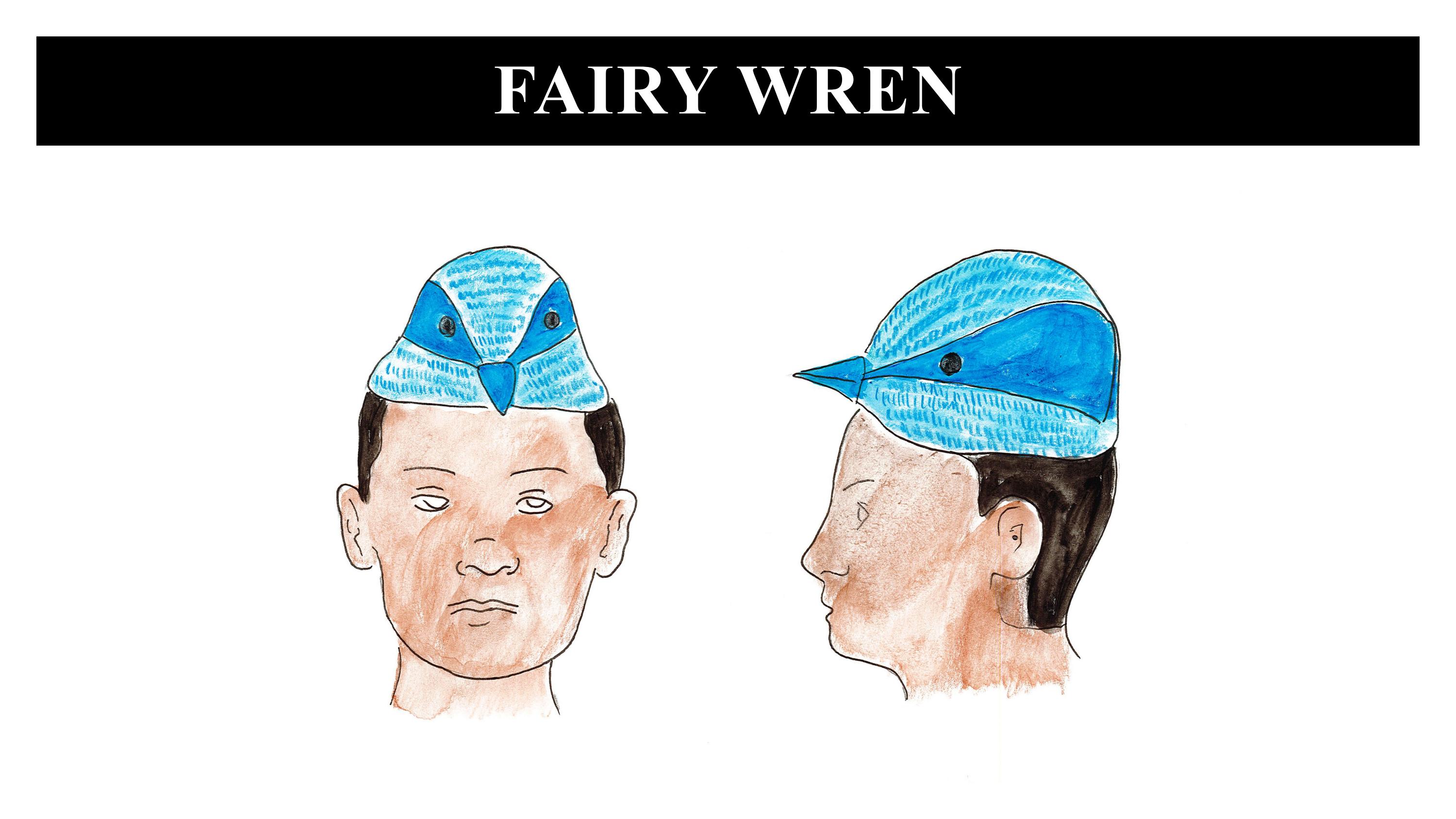 Koolbardi wer Wardong Social Story - Esperance 2022 by West Australian ...