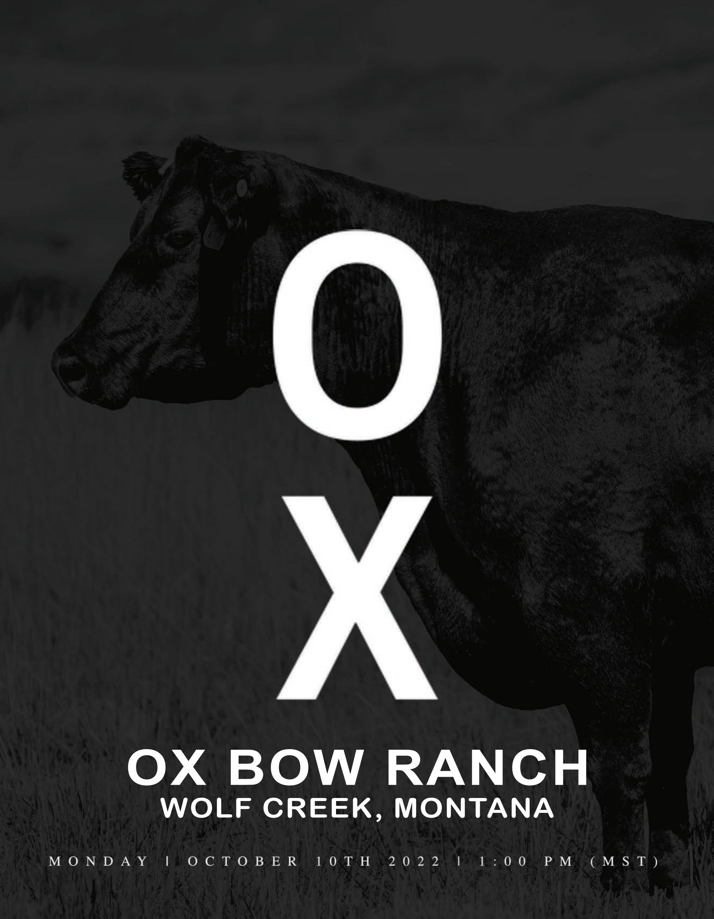 Ox Bow Ranch Angus Female Sale 2022 by PeltonLivestock - Issuu