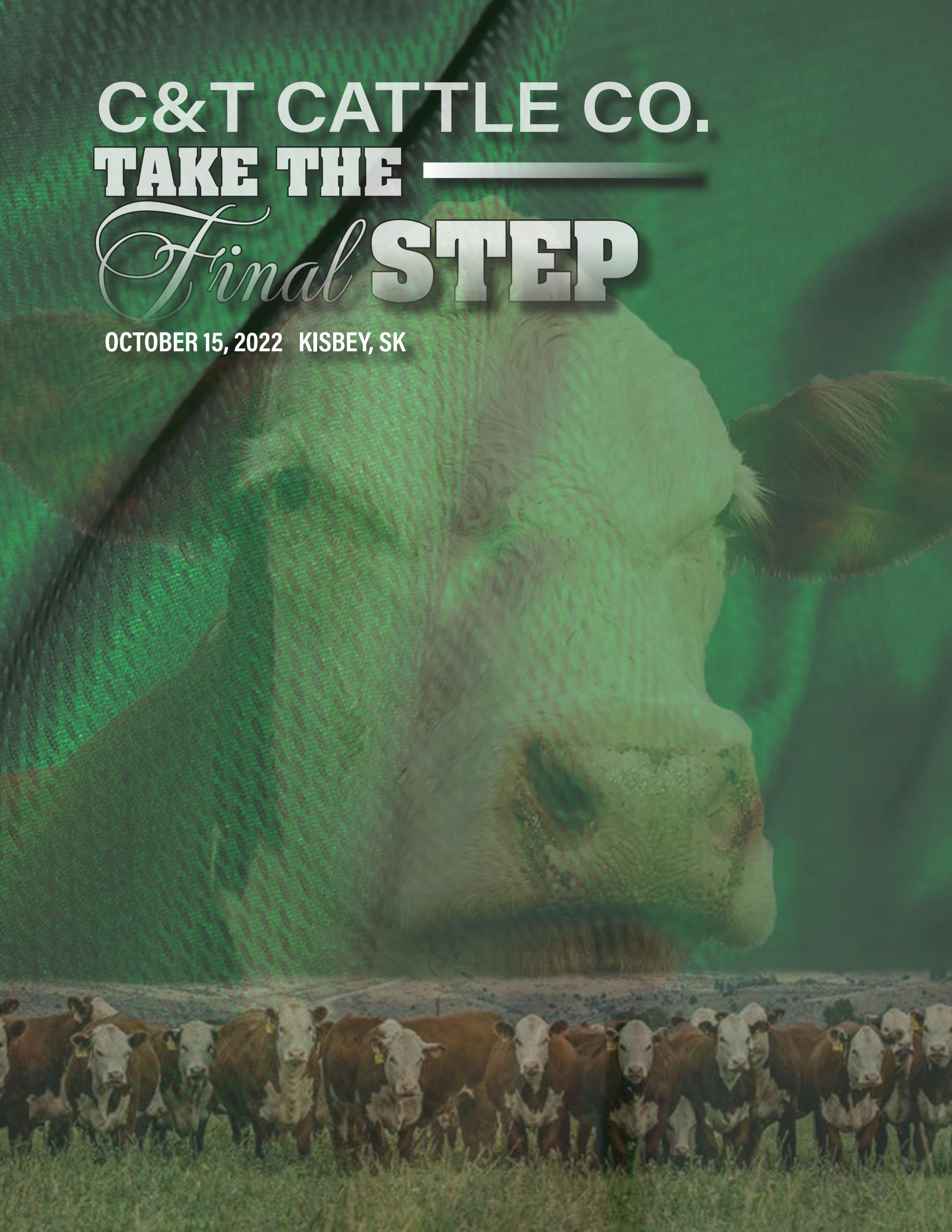 C&T The Final Step 2022 by Today's Publishing Inc. - Issuu