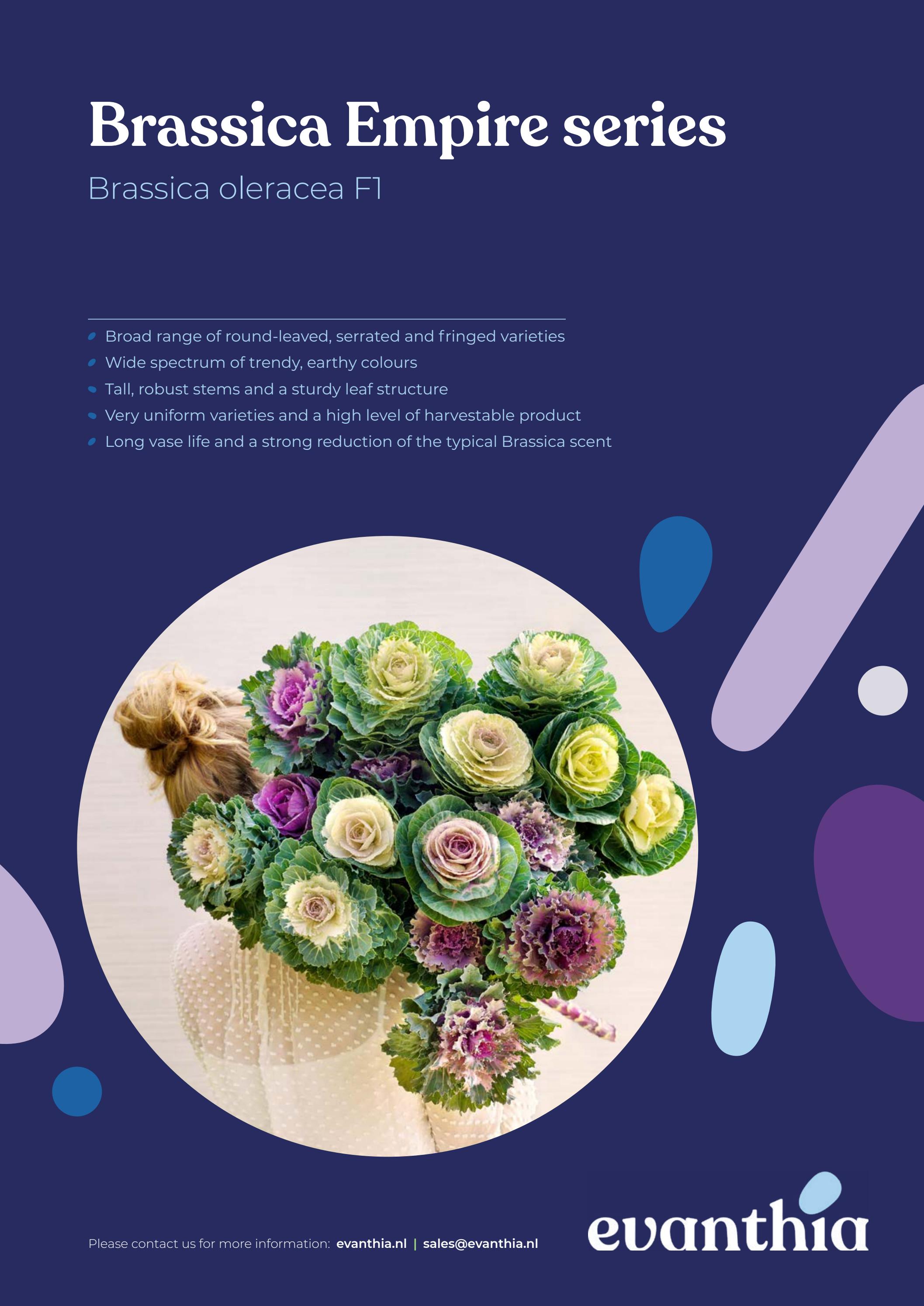 Brassica Empire series leaflet by Evanthia Seeds & Plants - Issuu