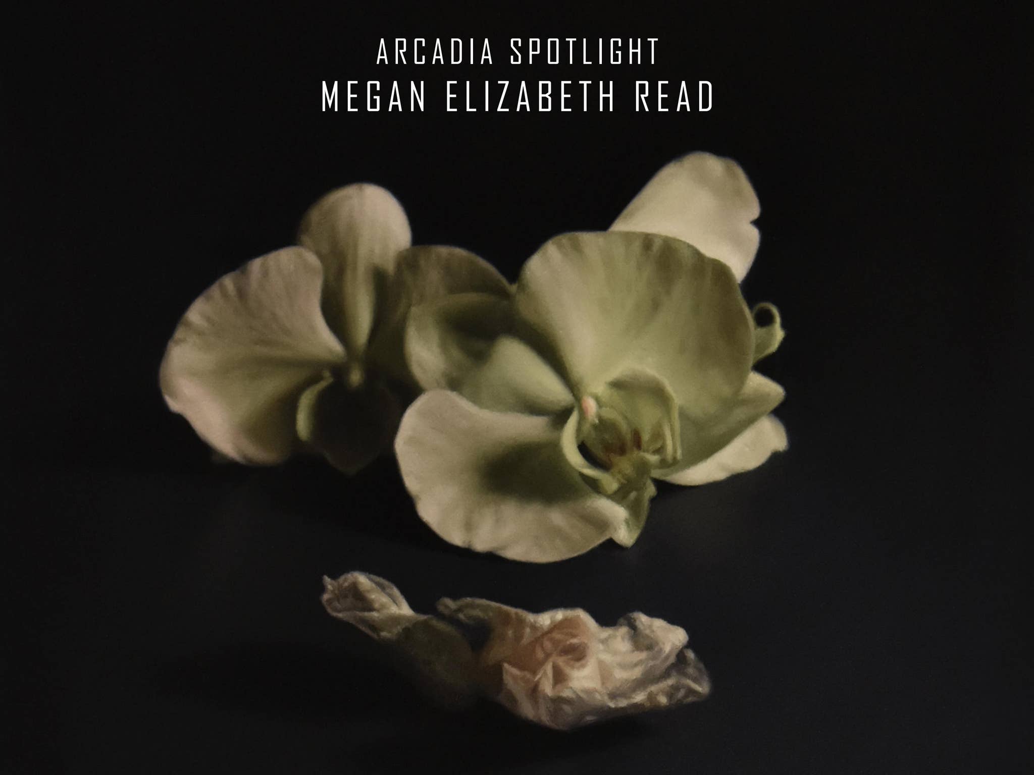 Arcadia Spotlight: Megan Read - September 22 - October 6, 2022 by ...
