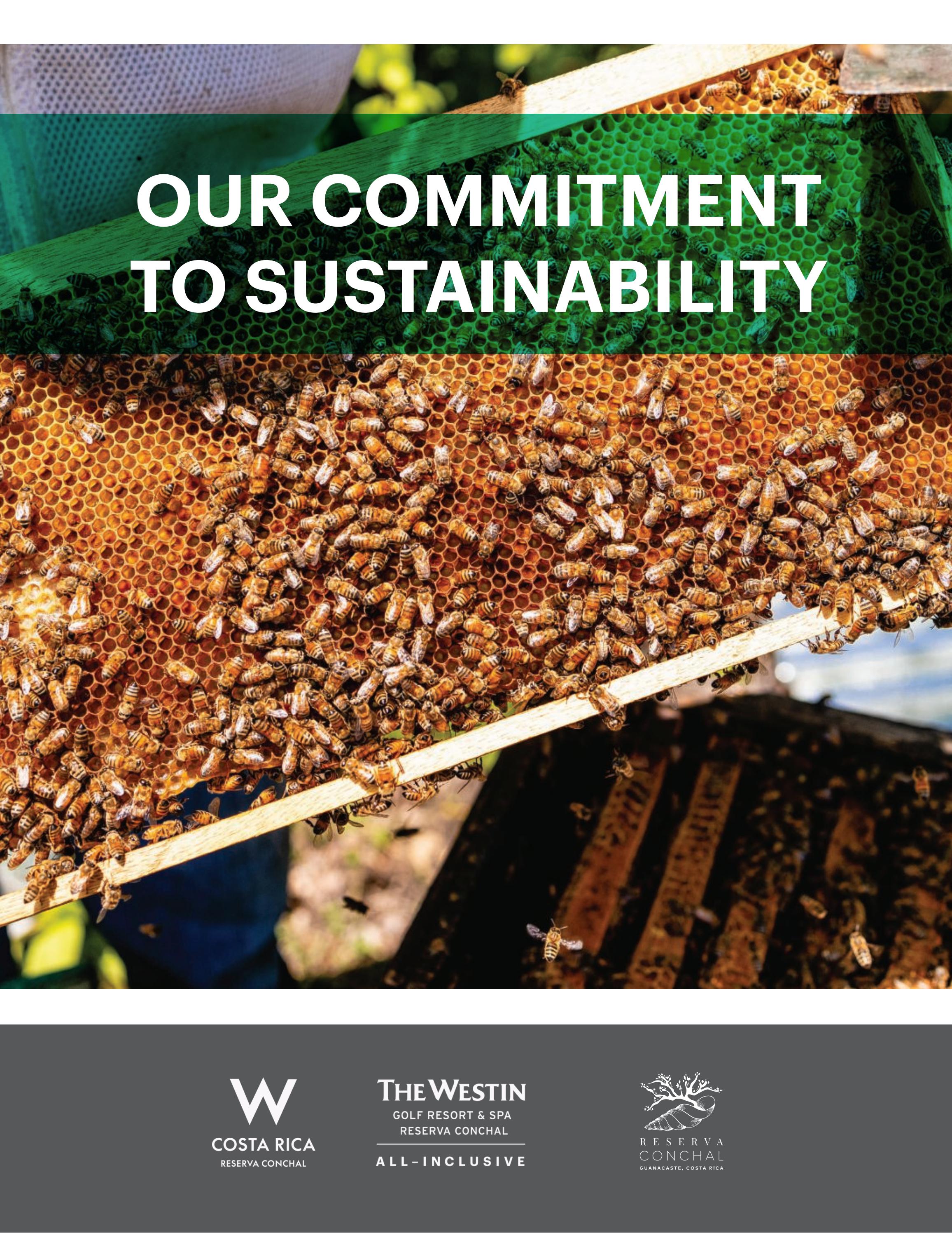 Our Commitment to Sustainability by Desarrollos Hoteleros Guanacaste ...