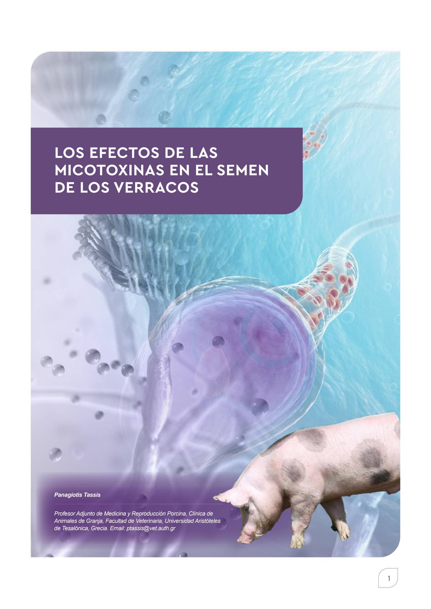 Los efectos de las micotoxinas en el semen de los verracos by agriNews - Issuu