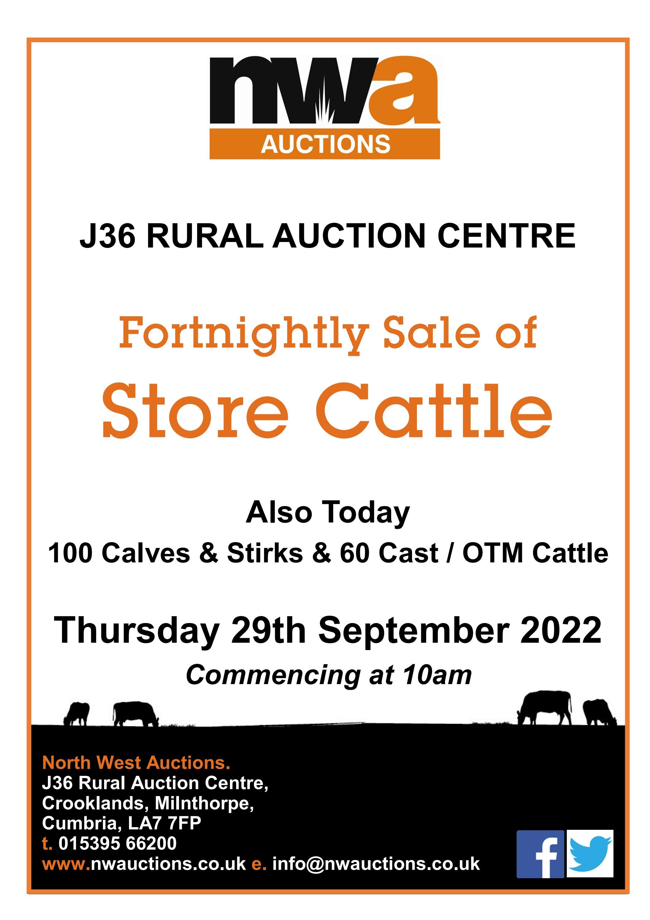 J36 Store Cattle, 29th September 2022 by North West Auctions - Issuu