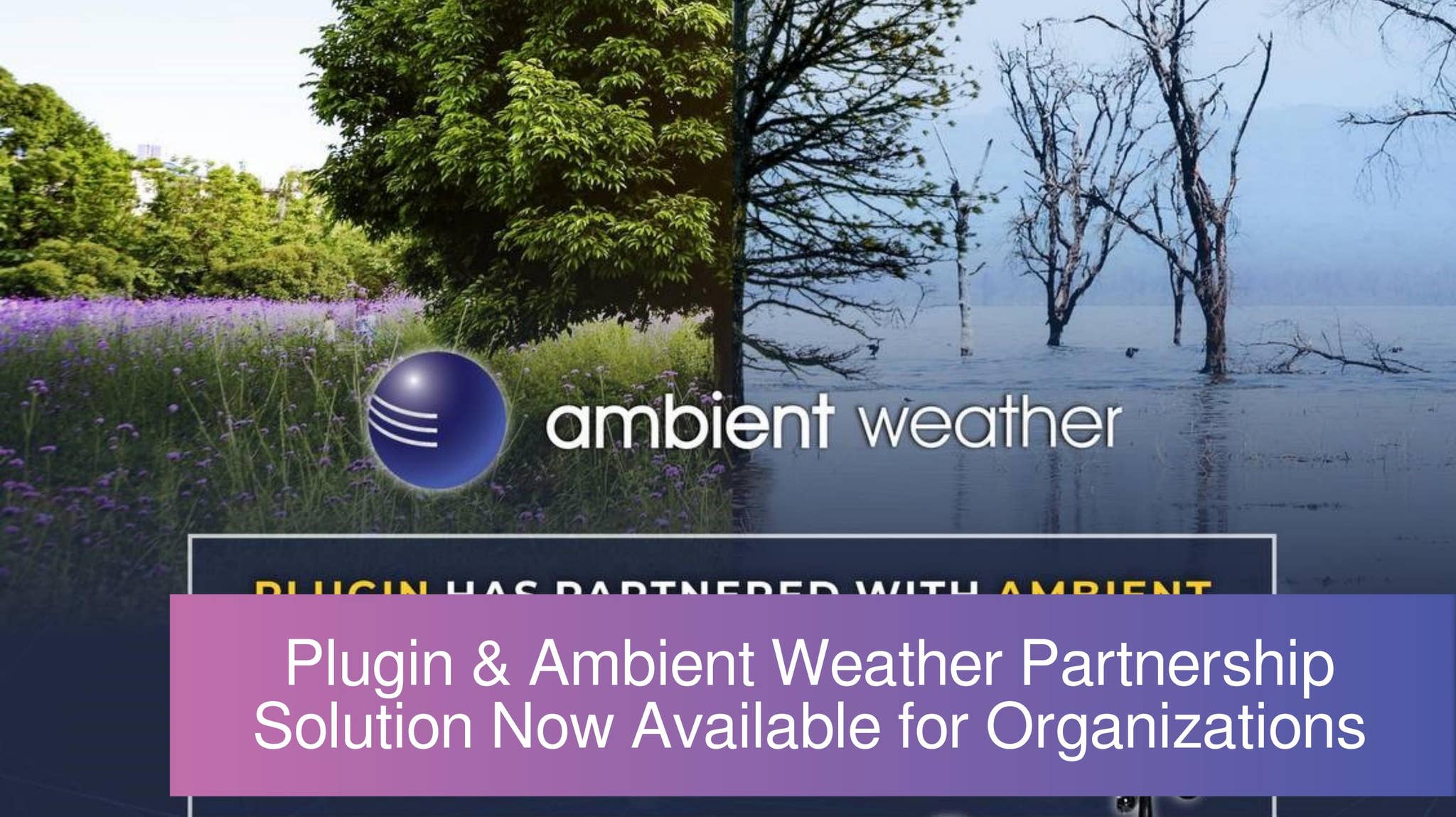 Plugin & Ambient Weather Partnership Solution Now Available for ...