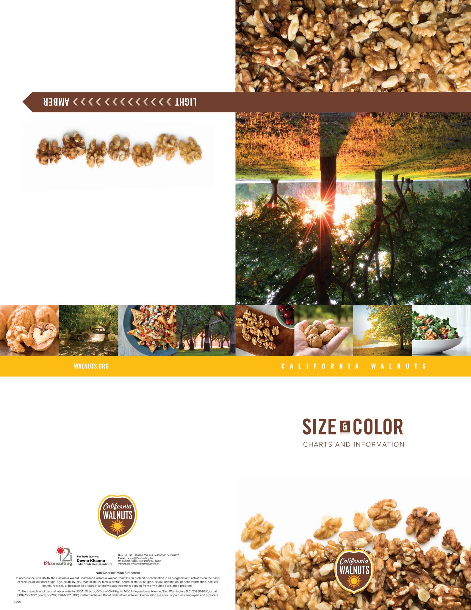 Sizing Chart - California walnuts by california walnuts - Issuu