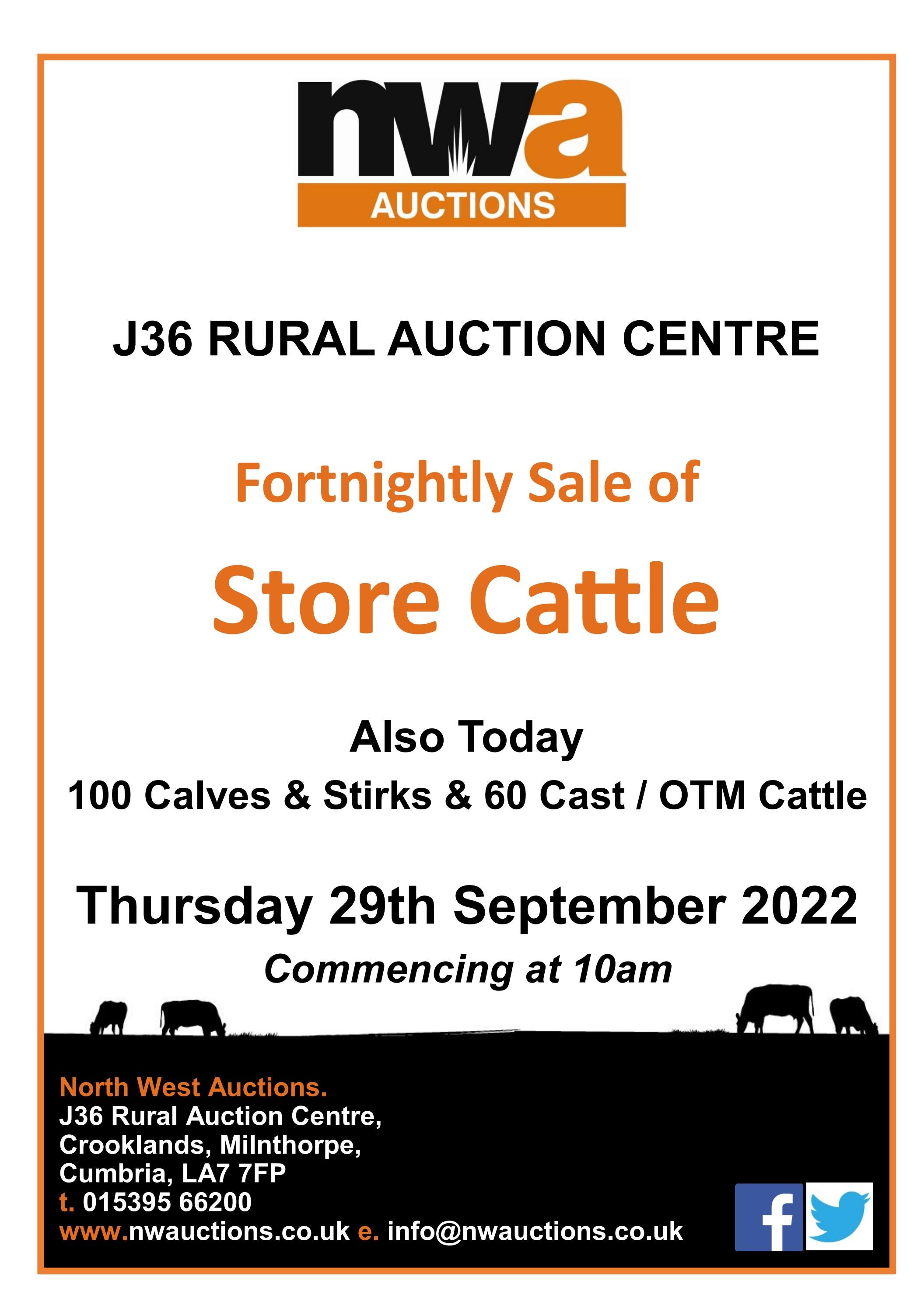 J36 Store Cattle Catalogue, Thursday 29th September by North West ...