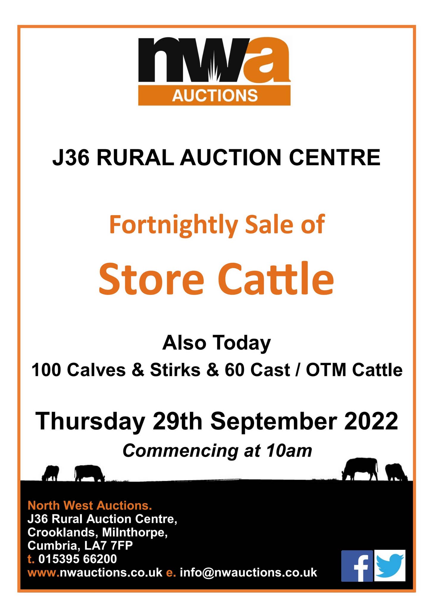 J36 Store Cattle Catalogue, Thursday 29th September by North West ...