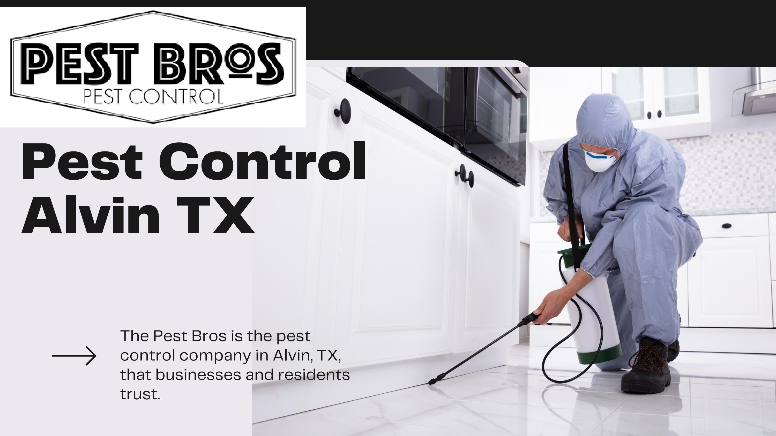 Pest Control Exterminators In Alvin TX - The Pest Bros by The Pest Bros ...