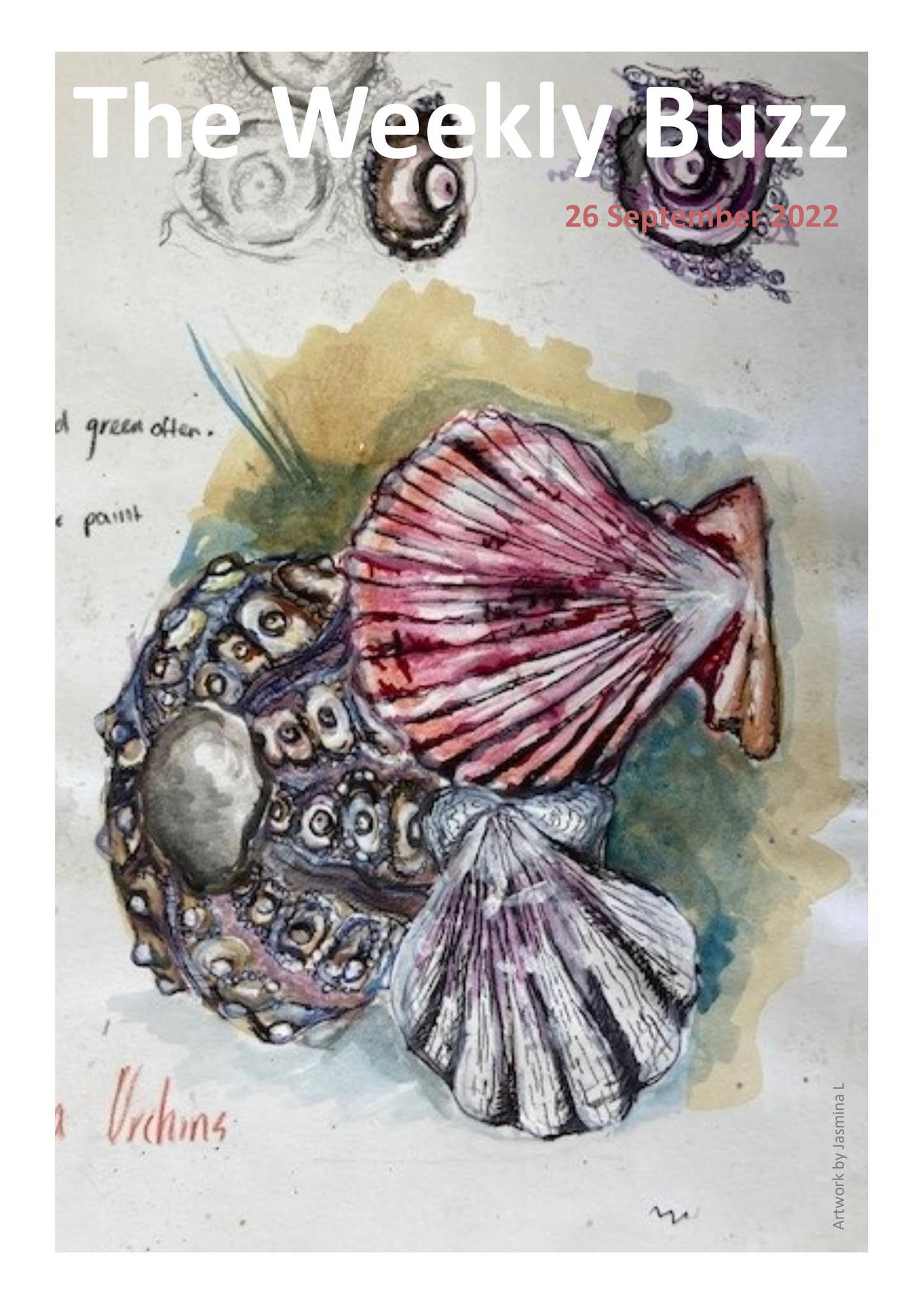 Weekly Buzz 26 Sept 2022 by Portland Place School - Issuu