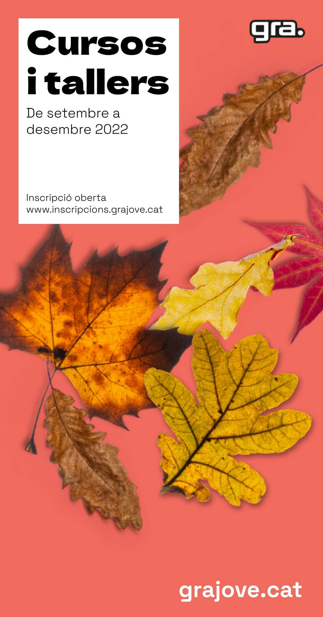 Cursos i tallers del Gra (setembre/desembre 2022) by Ajuntament de ...