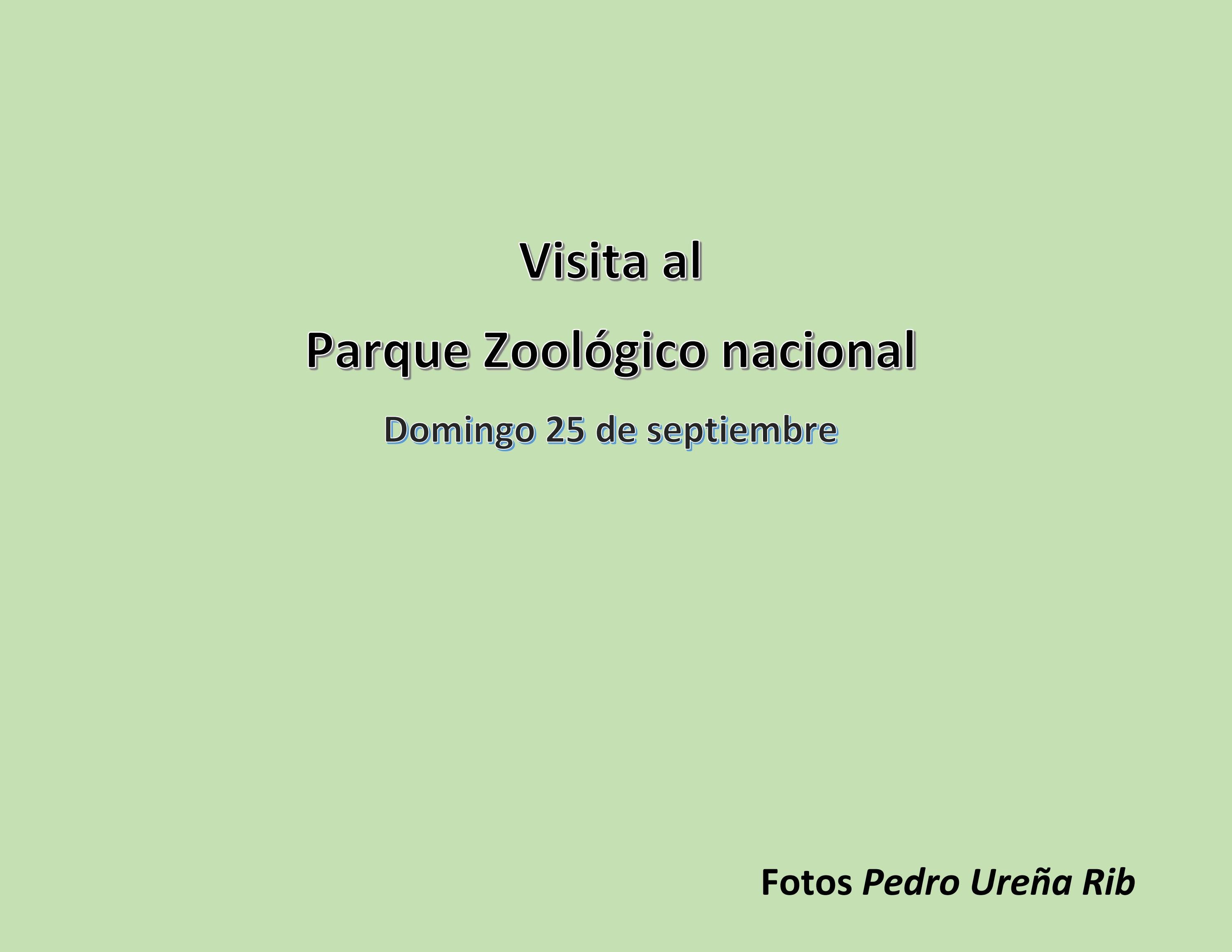 Visita al zoológico by Pedro Ureña Rib - Issuu