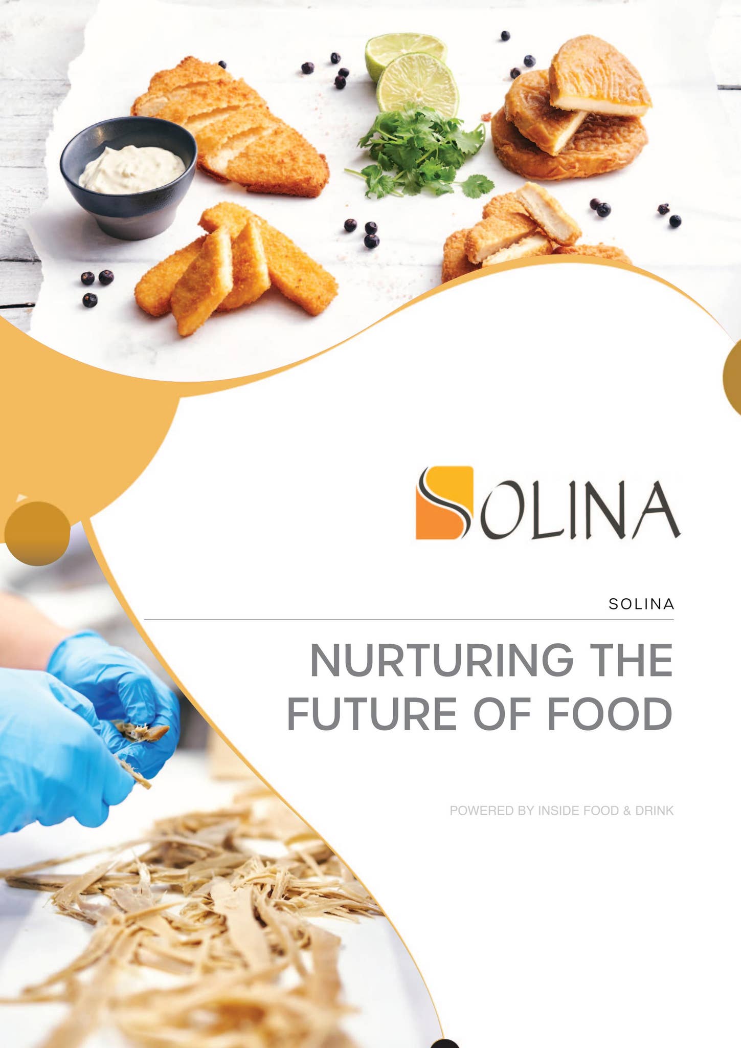 Solina by ProactivePublications - Issuu