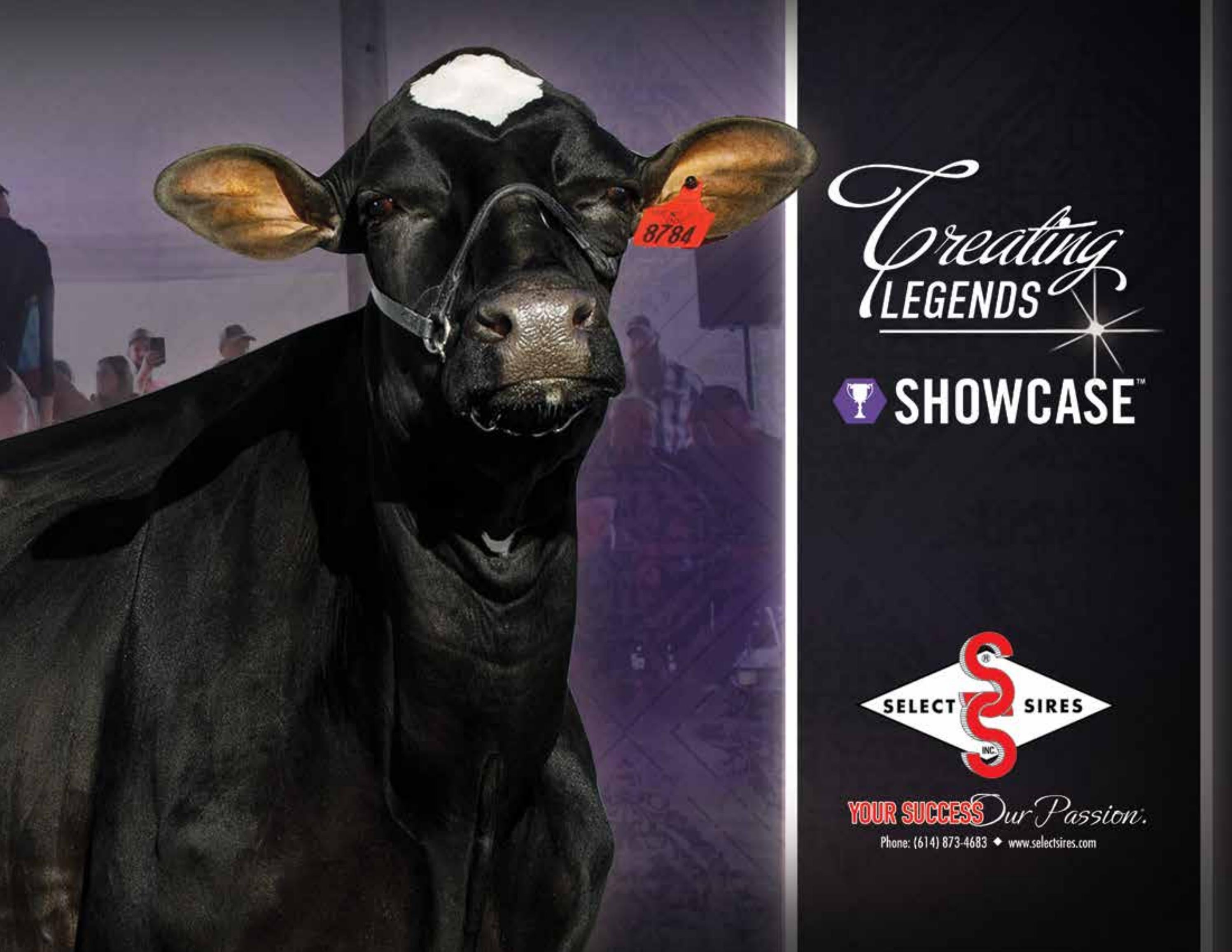 Select Sires Showcase 2022 by Select Sires - Issuu