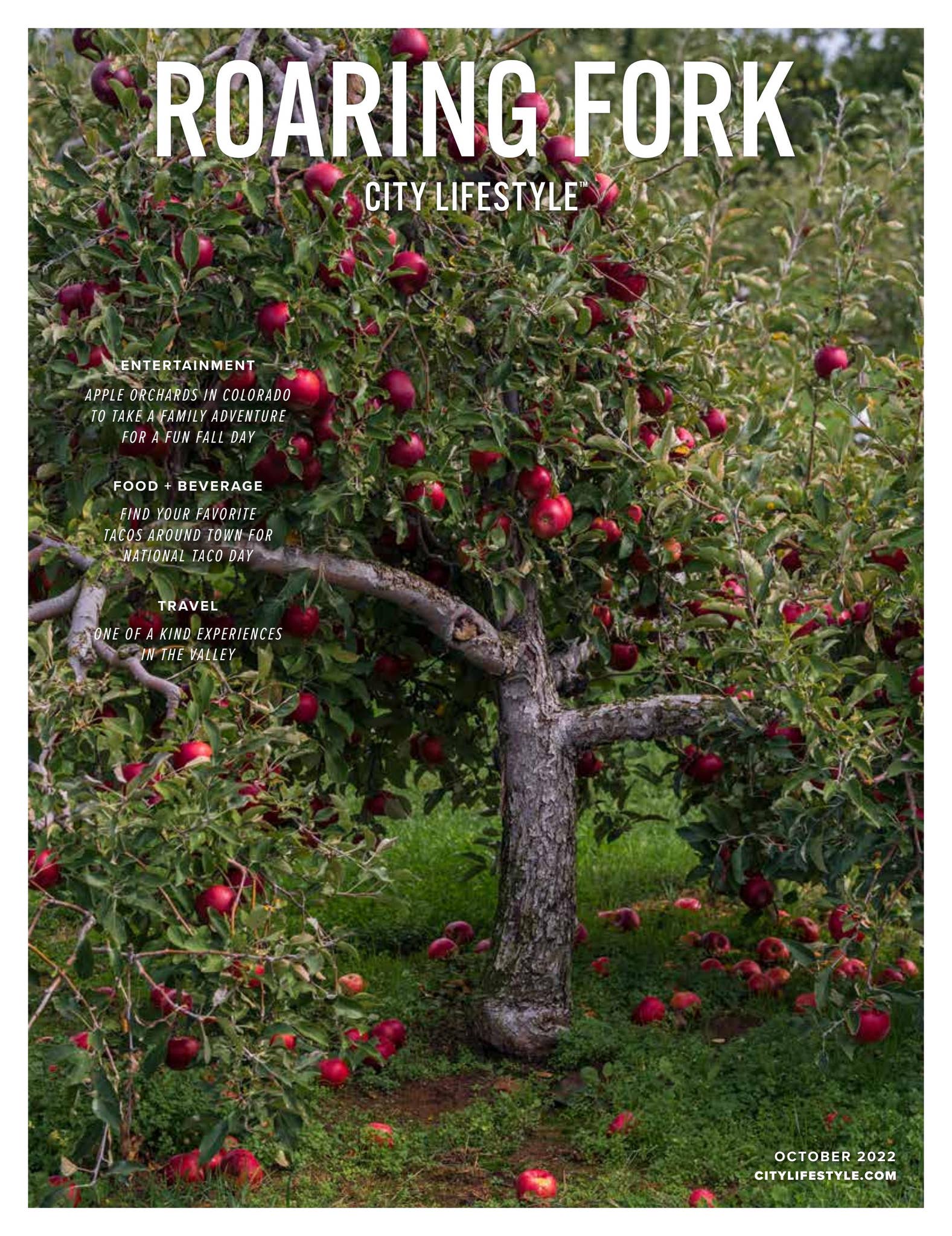 Roaring Fork, CO October 2022 by City Lifestyle - Issuu