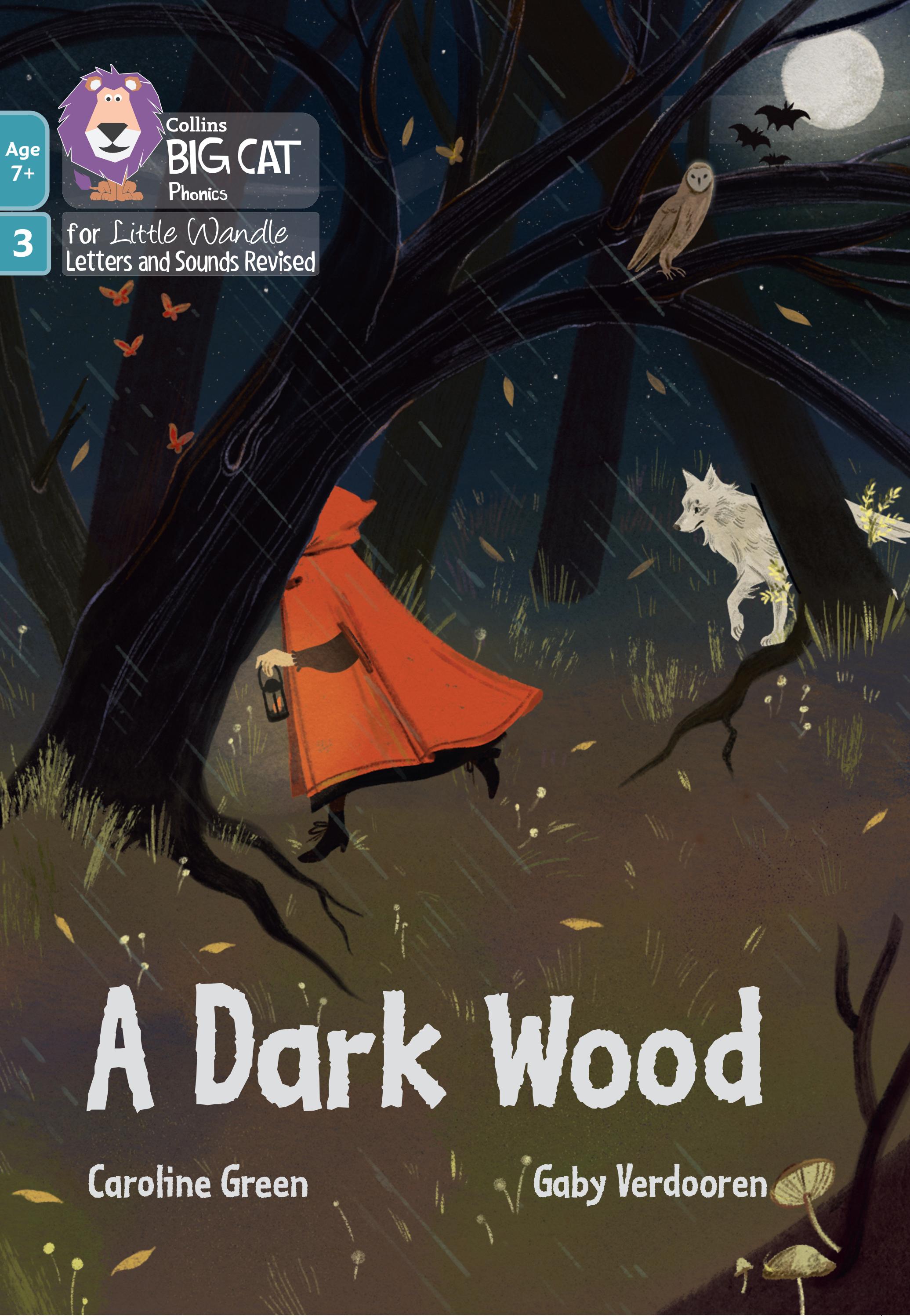 Big Cat Phonics for Little Wandle Letters and Sounds Revised - A Dark ...